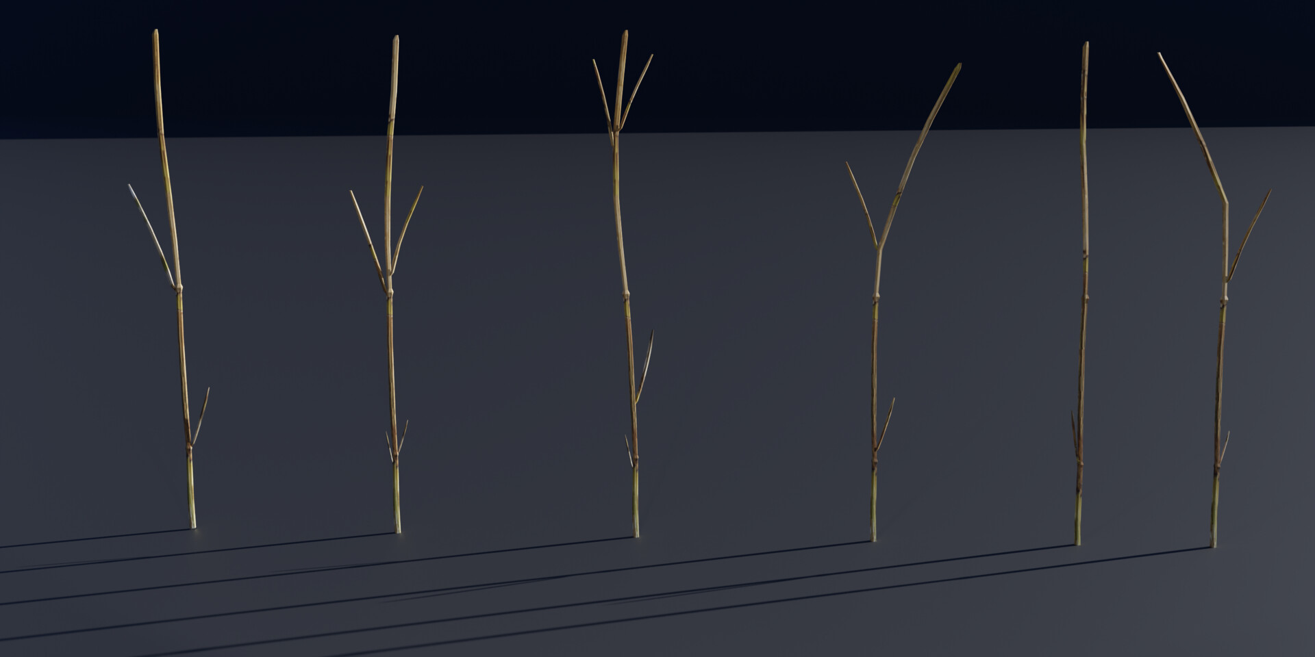 Guillermo López - Nature assets