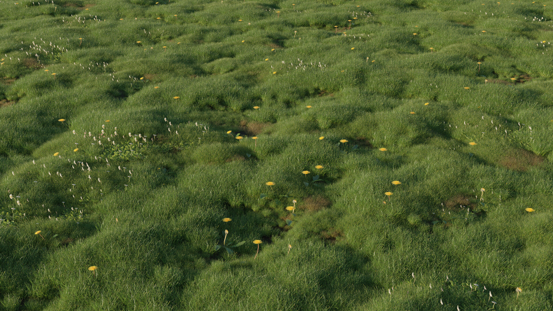 ArtStation - Green Grass Meadow