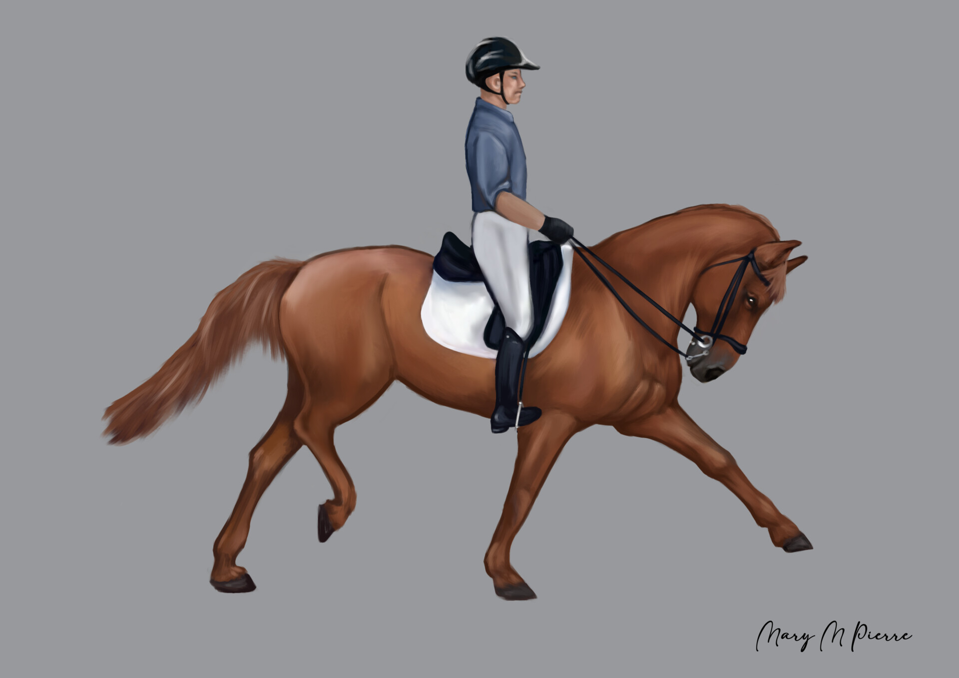 ArtStation - Horse riding educational illustration