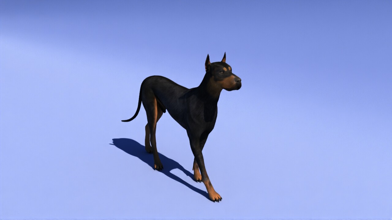 ArtStation - Dog Walk Animation