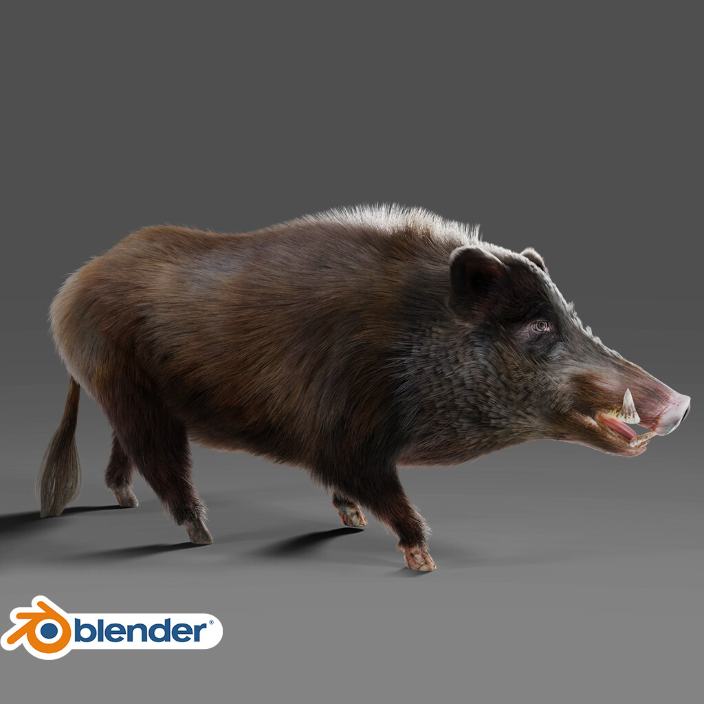 ArtStation - Fur Wild Boar V06 Rigged and Animation