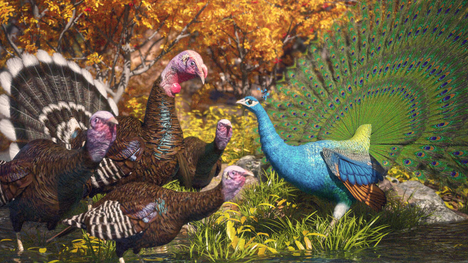 ArtStation - Show off