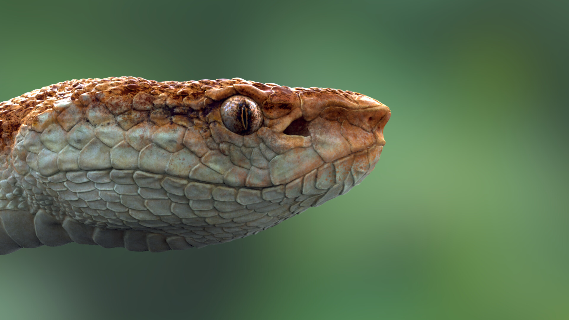 Pit Viper Eyes
