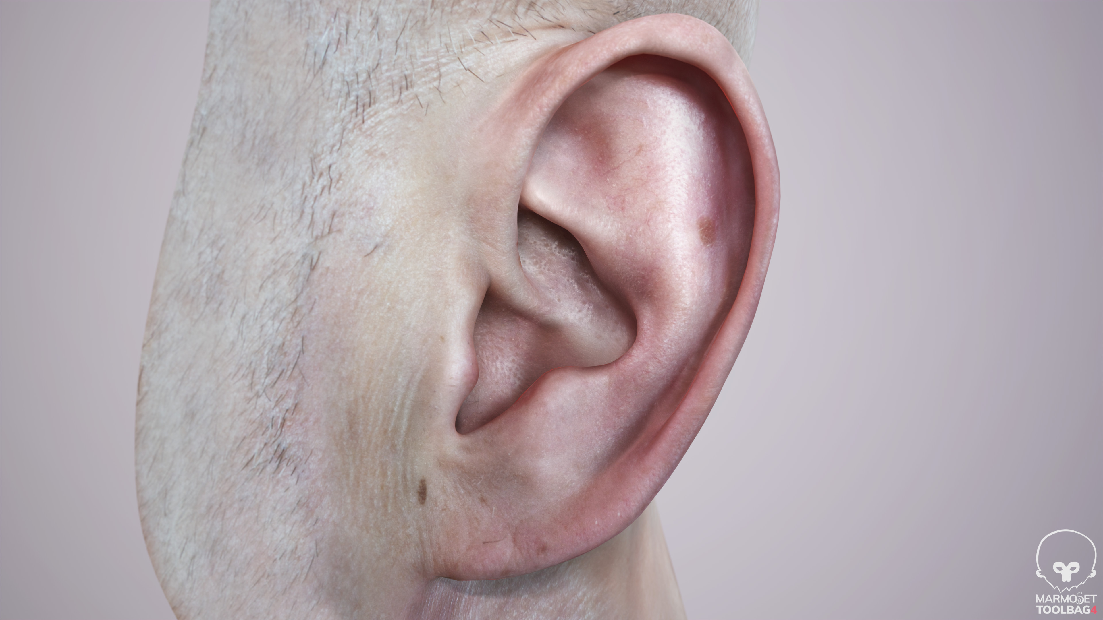 Ankur Nanda - Human Ear