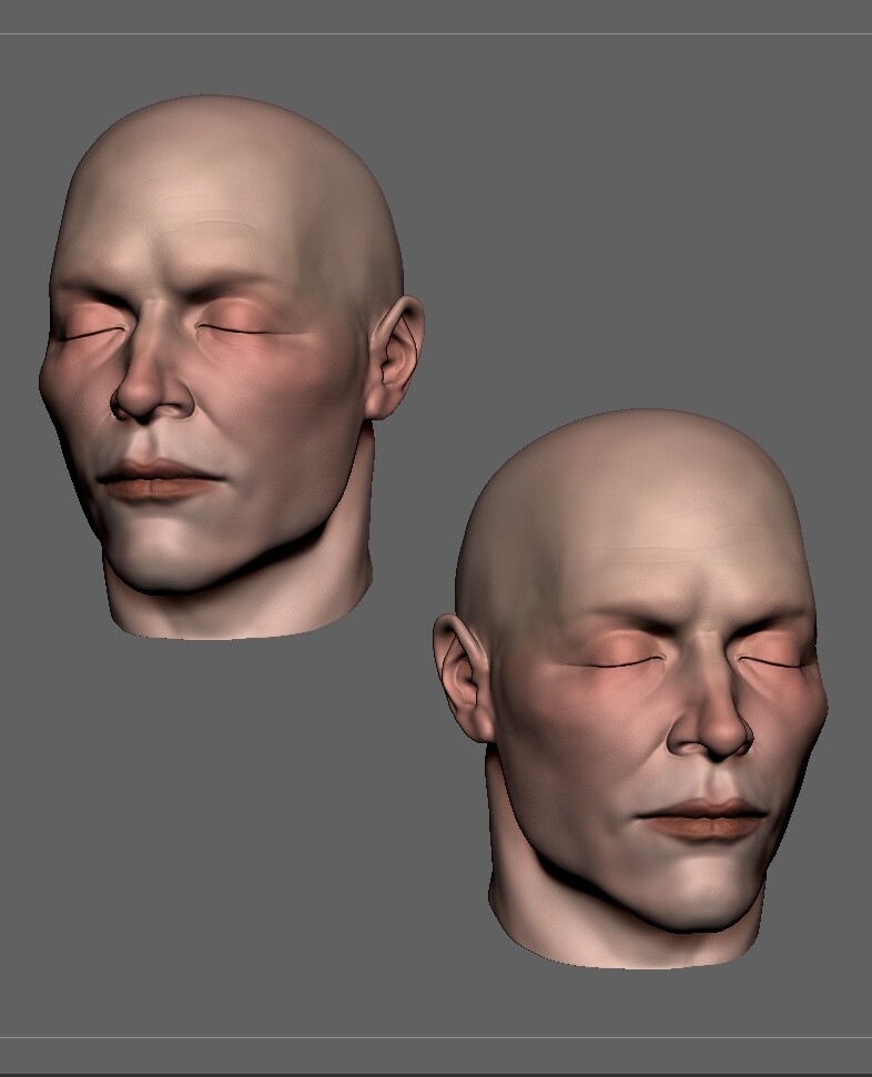 ArtStation - Face Anatomy