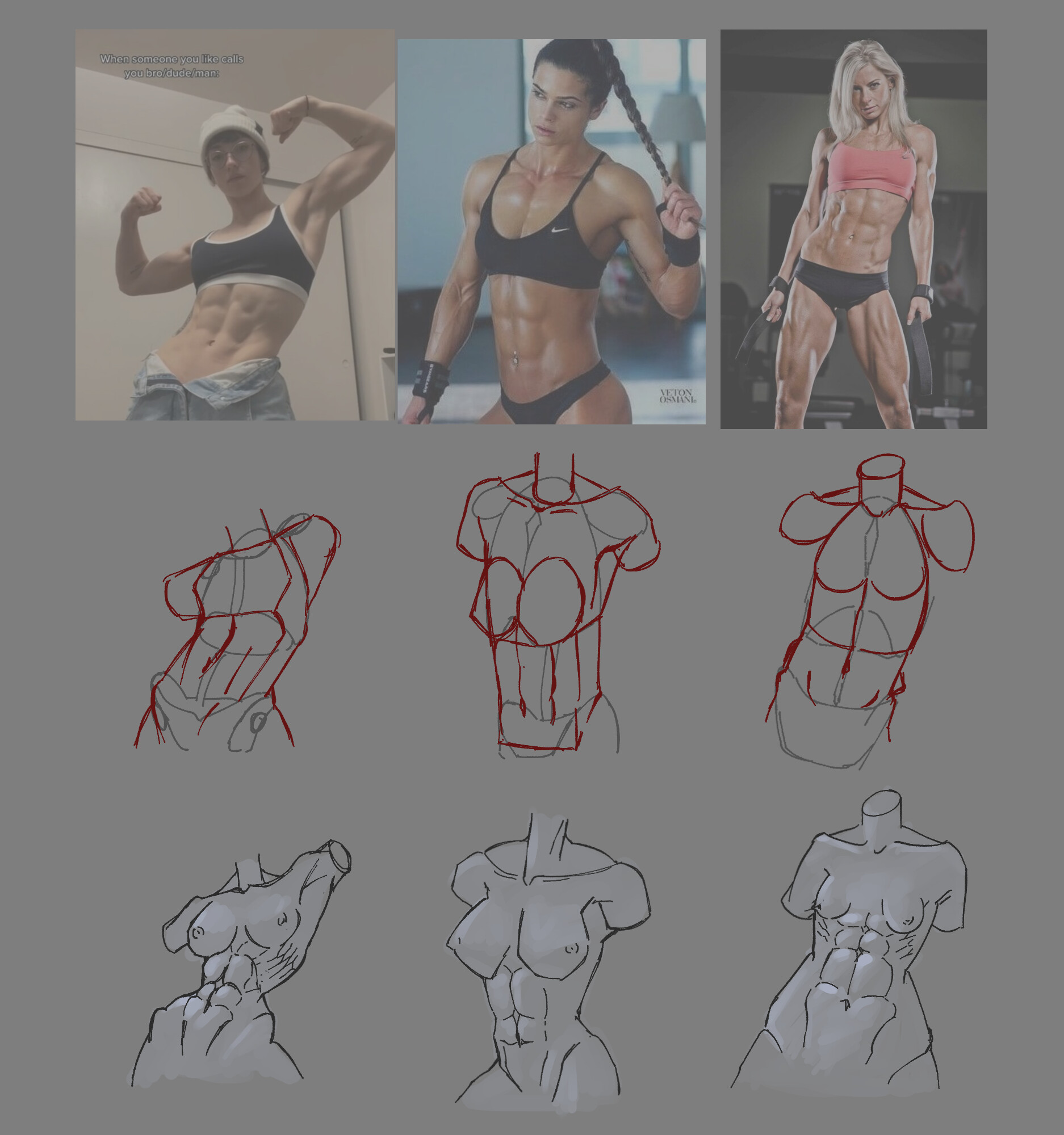 ArtStation - Estudio de torso/ Estilización