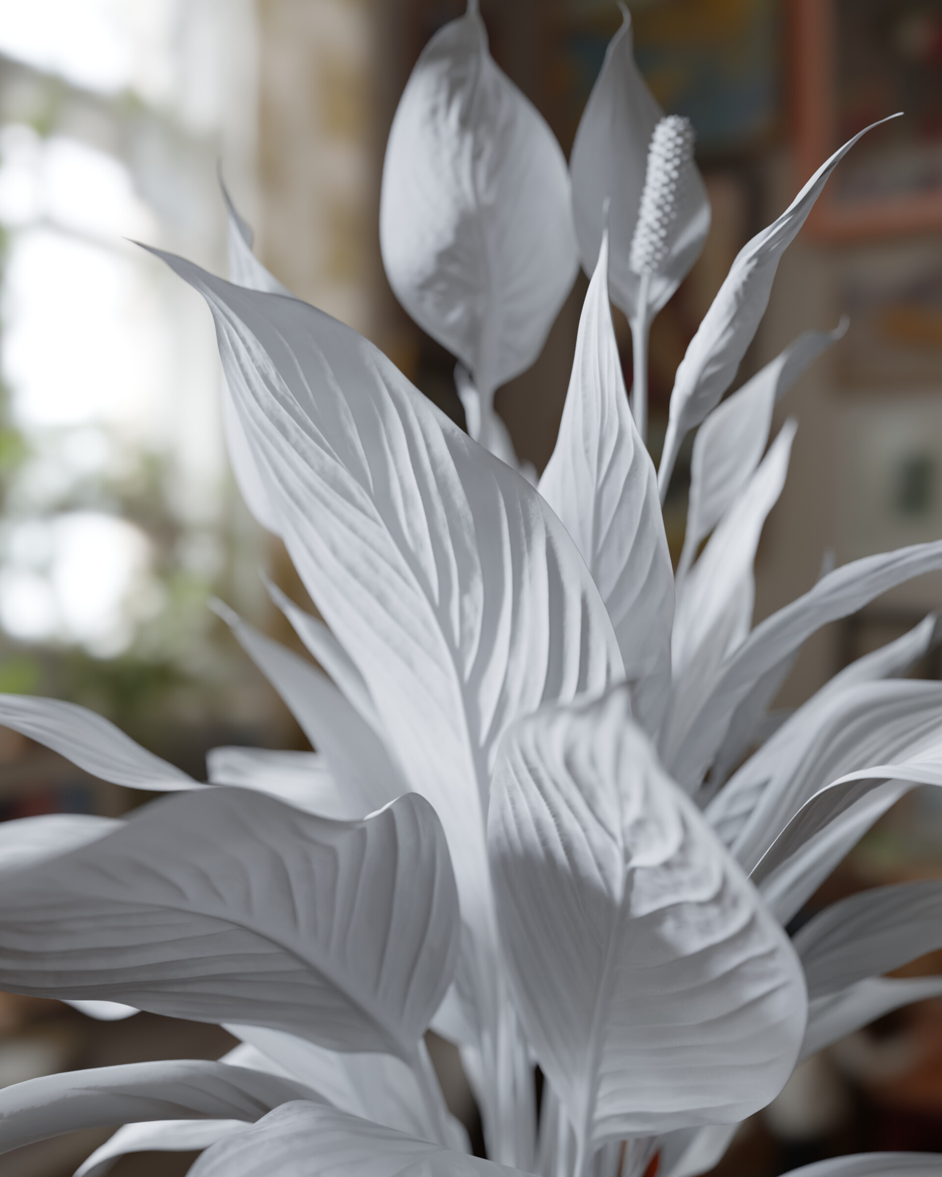 iwo pilc - 3D Plant Peace Lily - @Textures.com