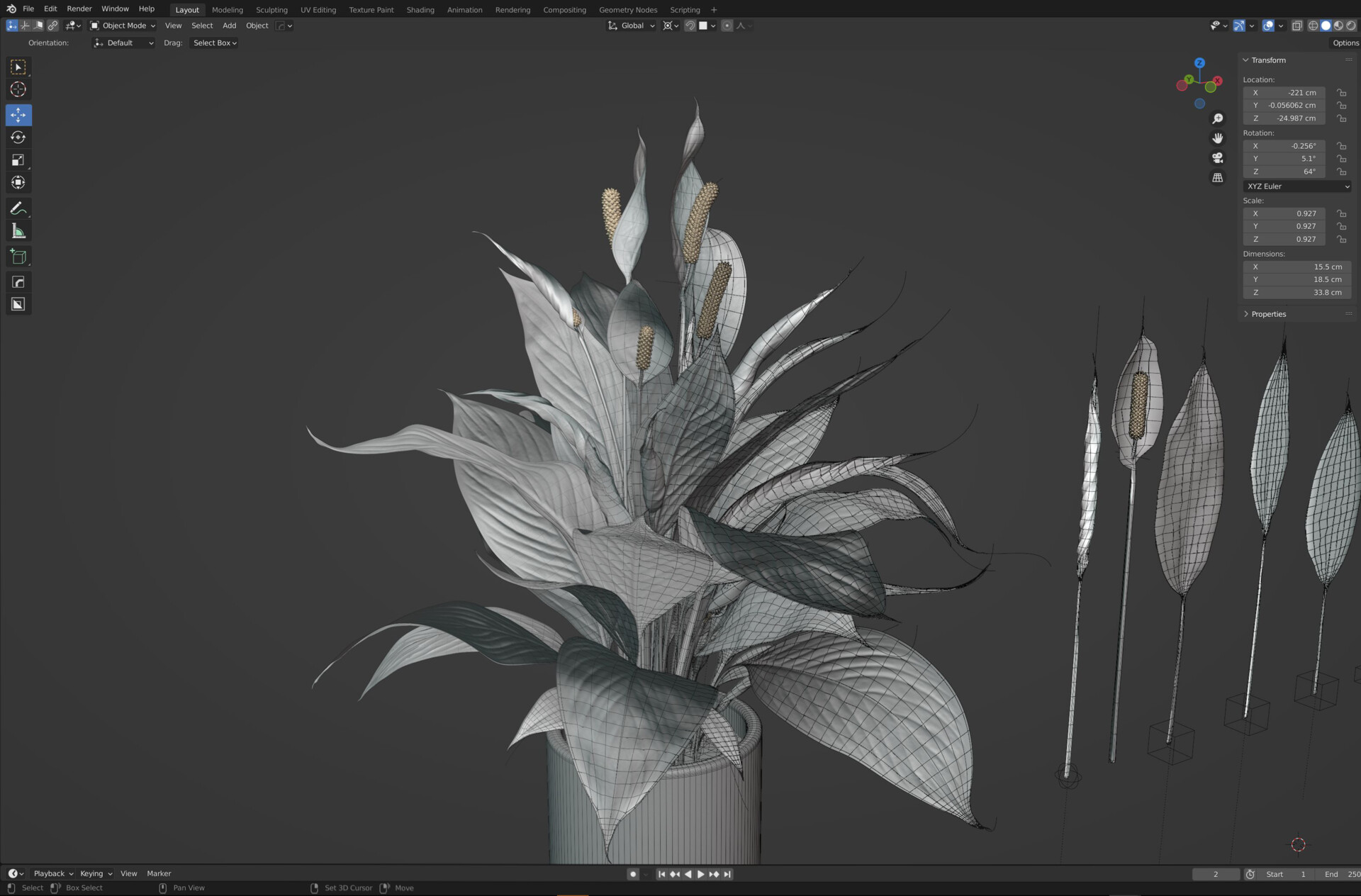 iwo pilc - 3D Plant Peace Lily - @Textures.com