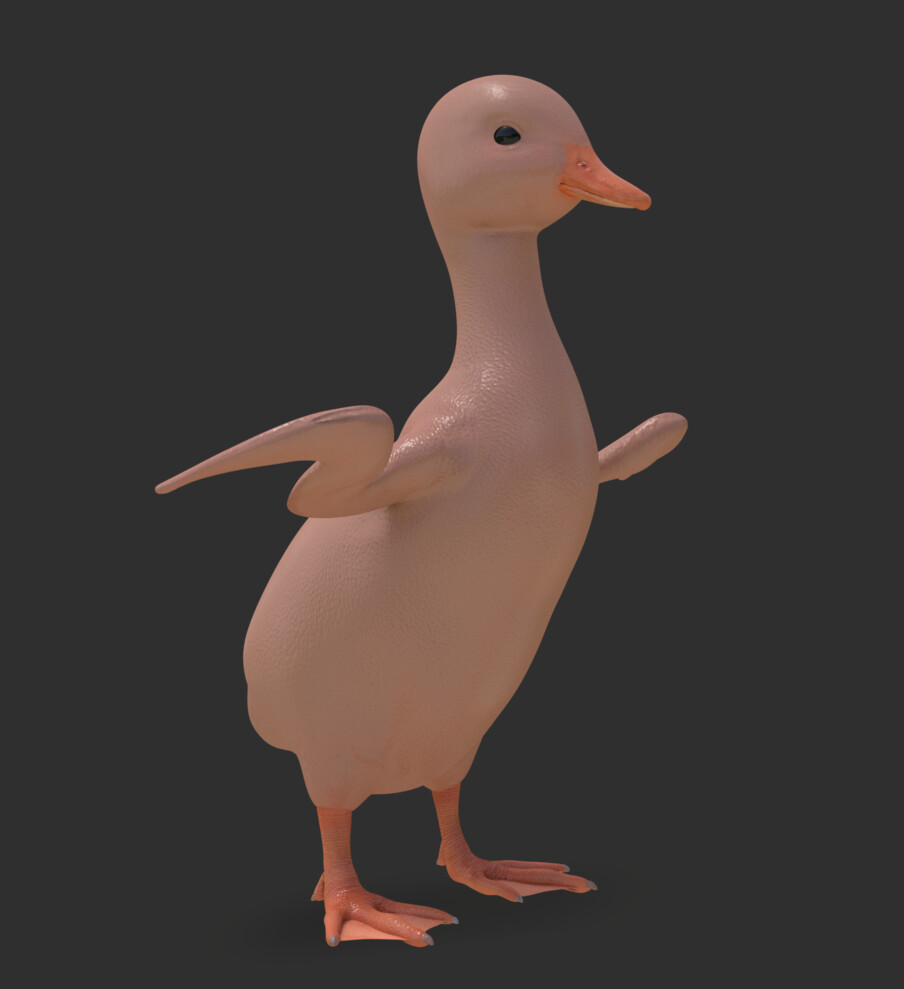 Featherless Duck