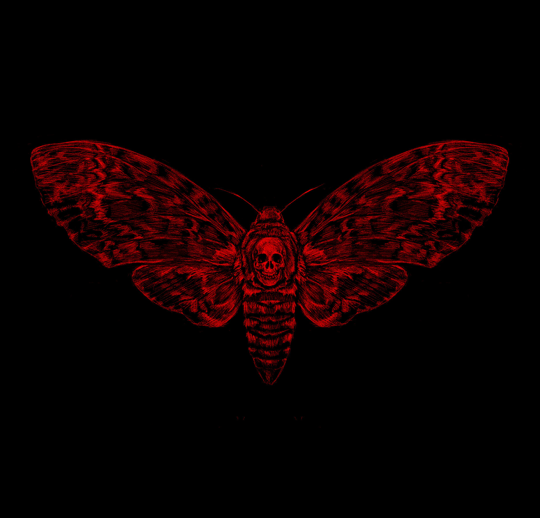 ArtStation - Moth in red