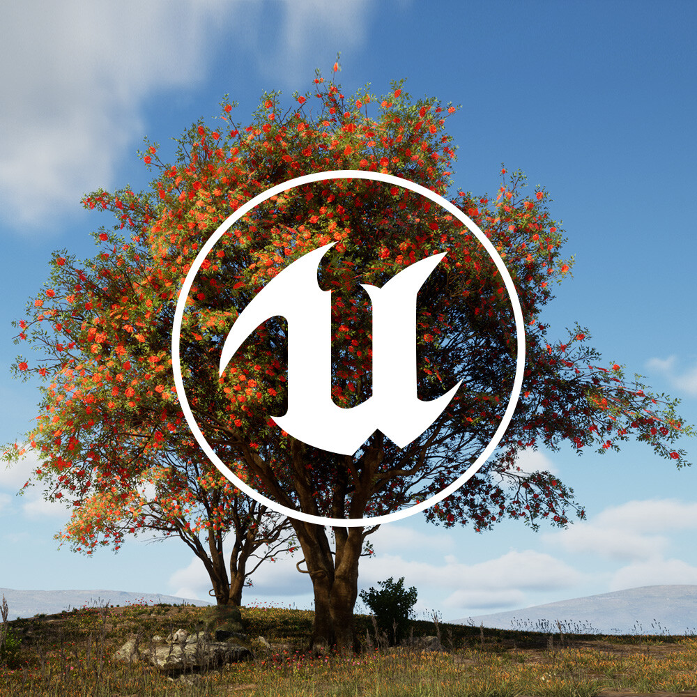 ArtStation - Rowan Tree