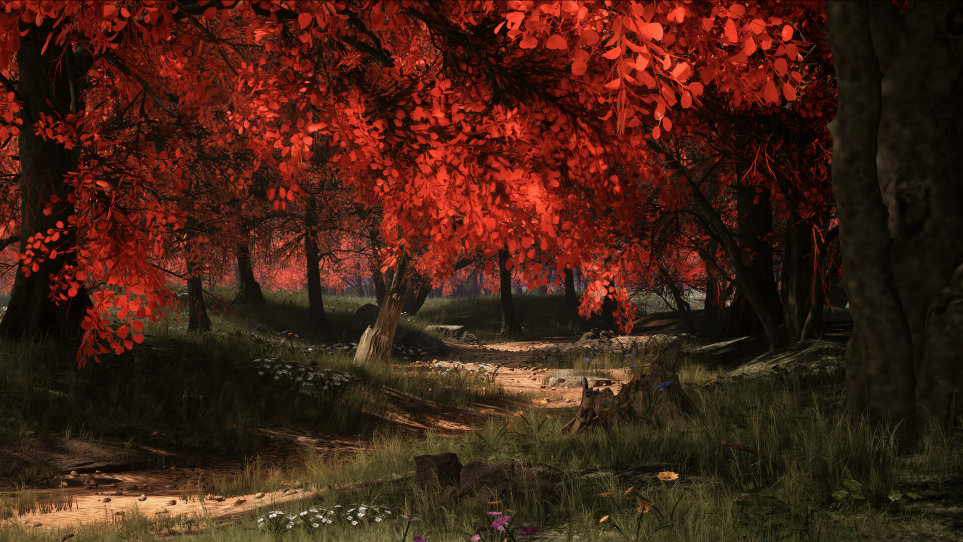 ArtStation - Forest——Practice