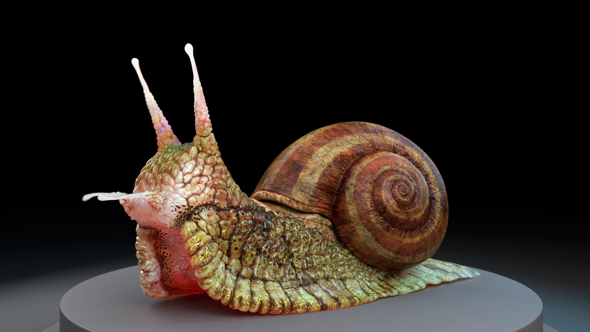 ArtStation - Snail