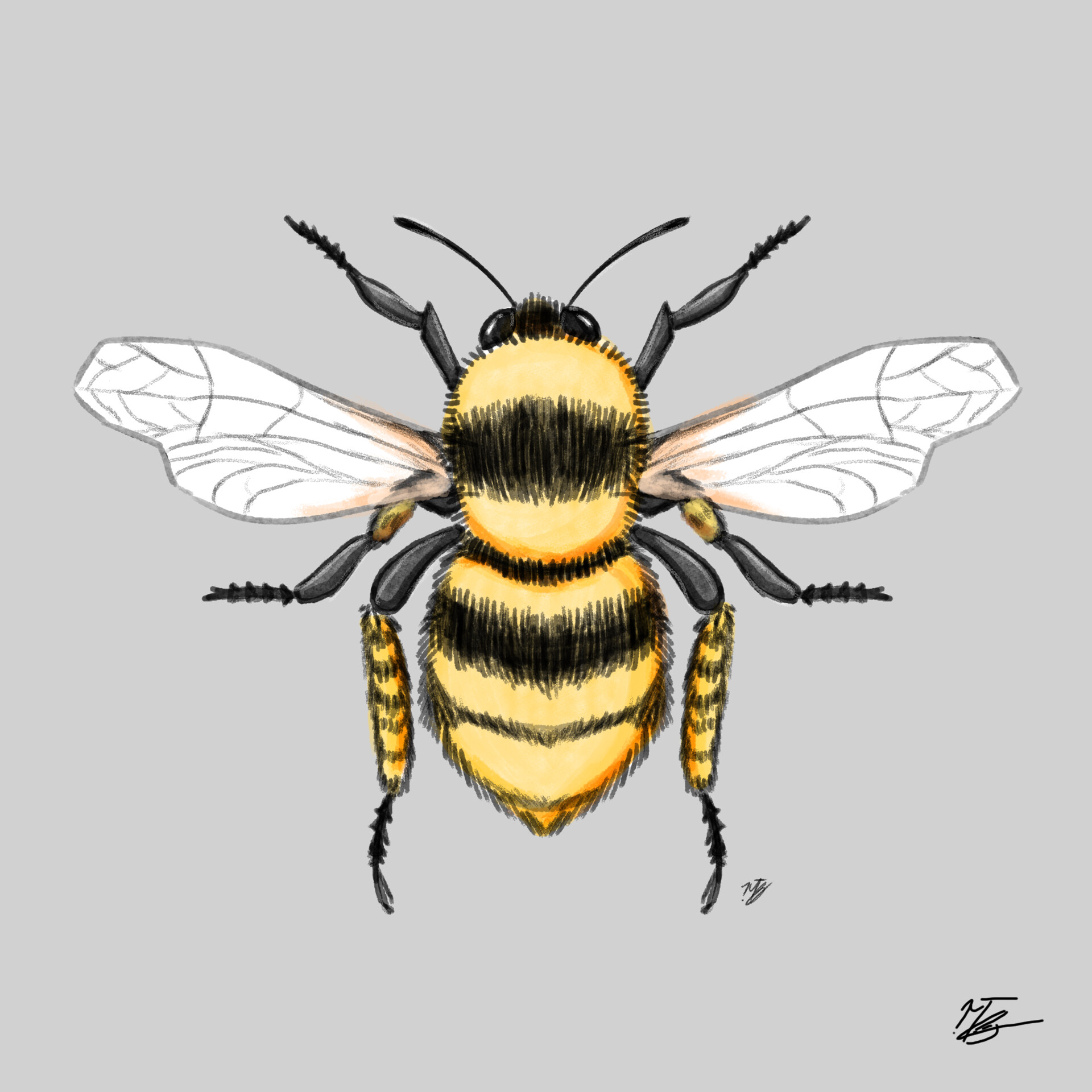 ArtStation - Insects made for a project