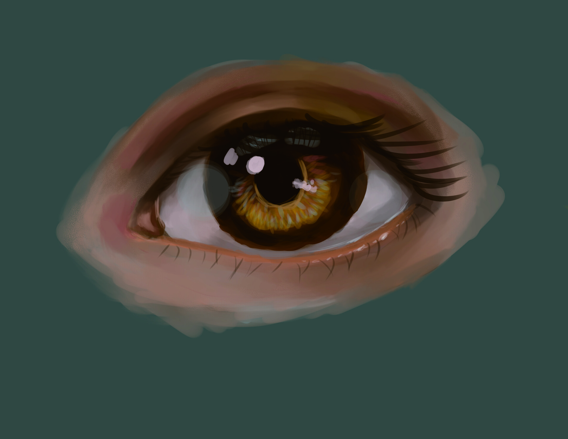 ArtStation - My first painting: The human eye