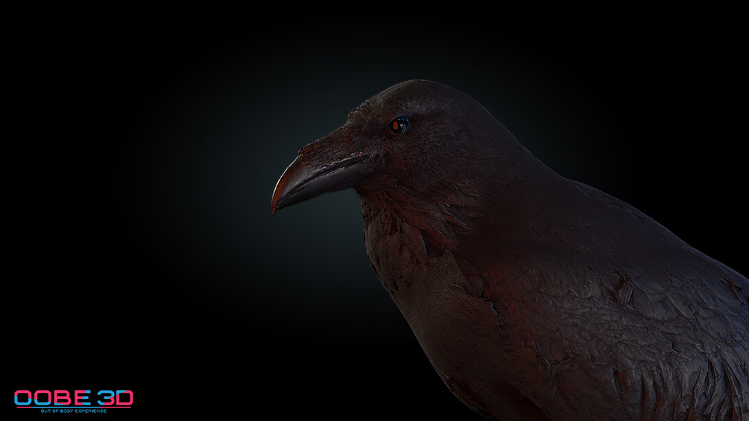 ArtStation - Crow (photogrammetry model)