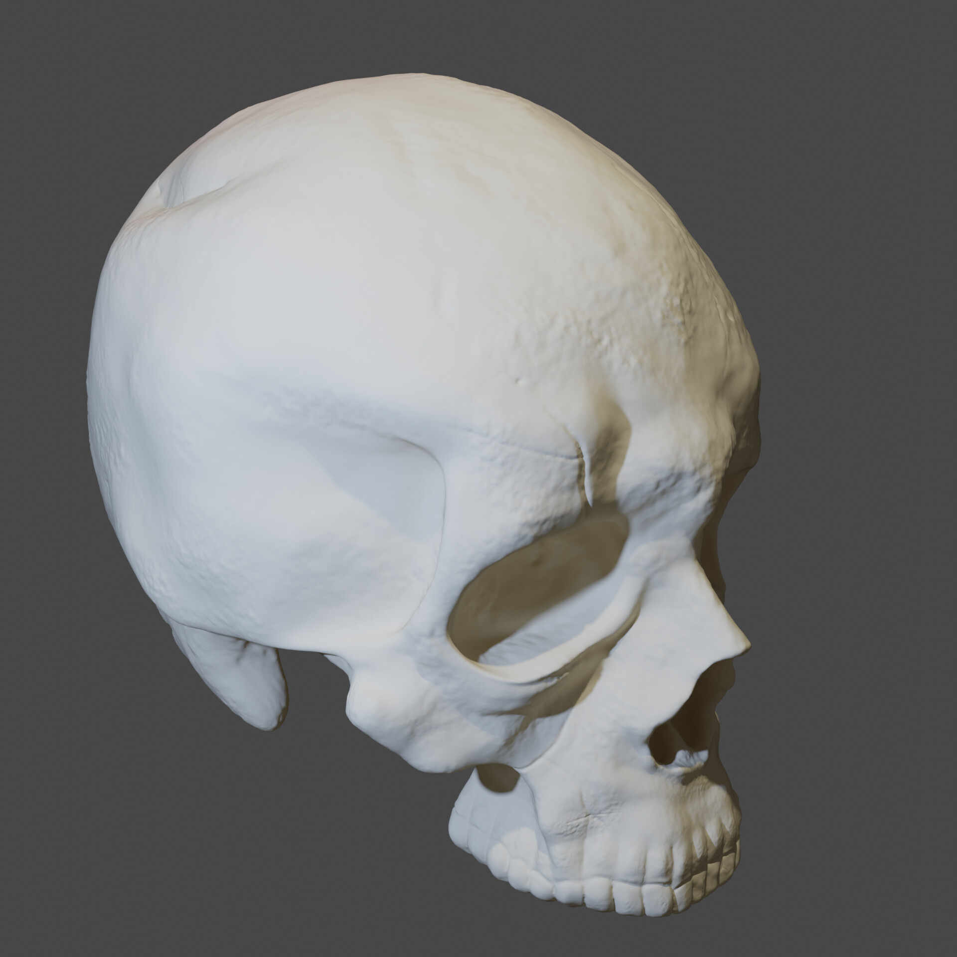 ArtStation - Skull Model
