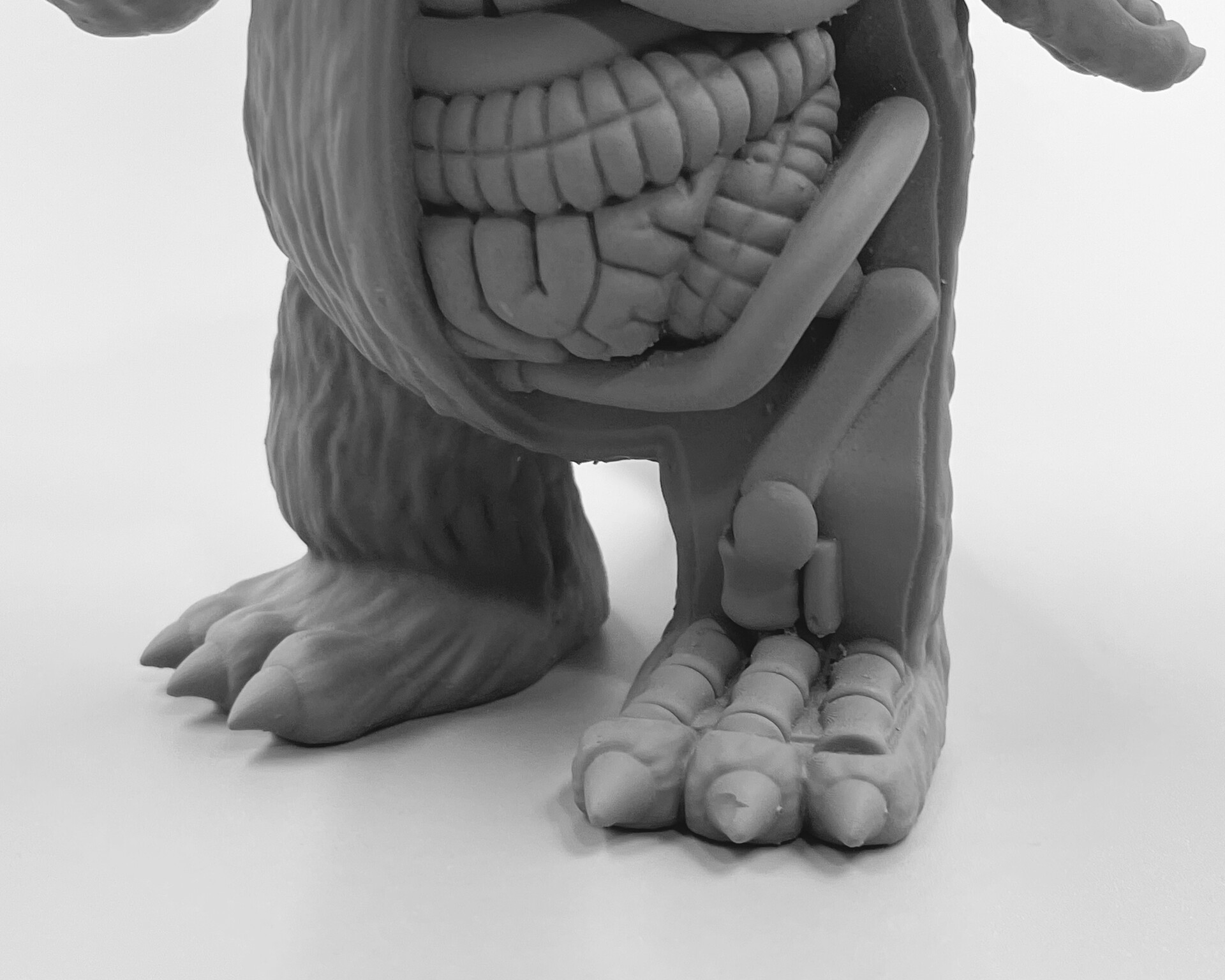 Lane Howell - Week Challenge- Sulley Dissection