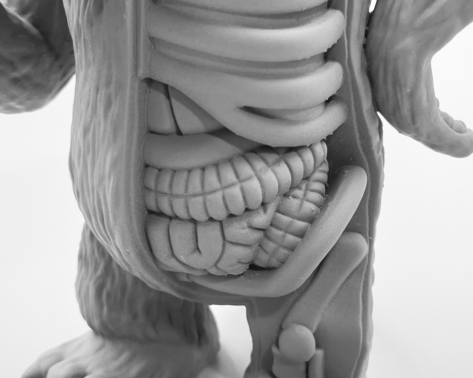 Lane Howell - Week Challenge- Sulley Dissection