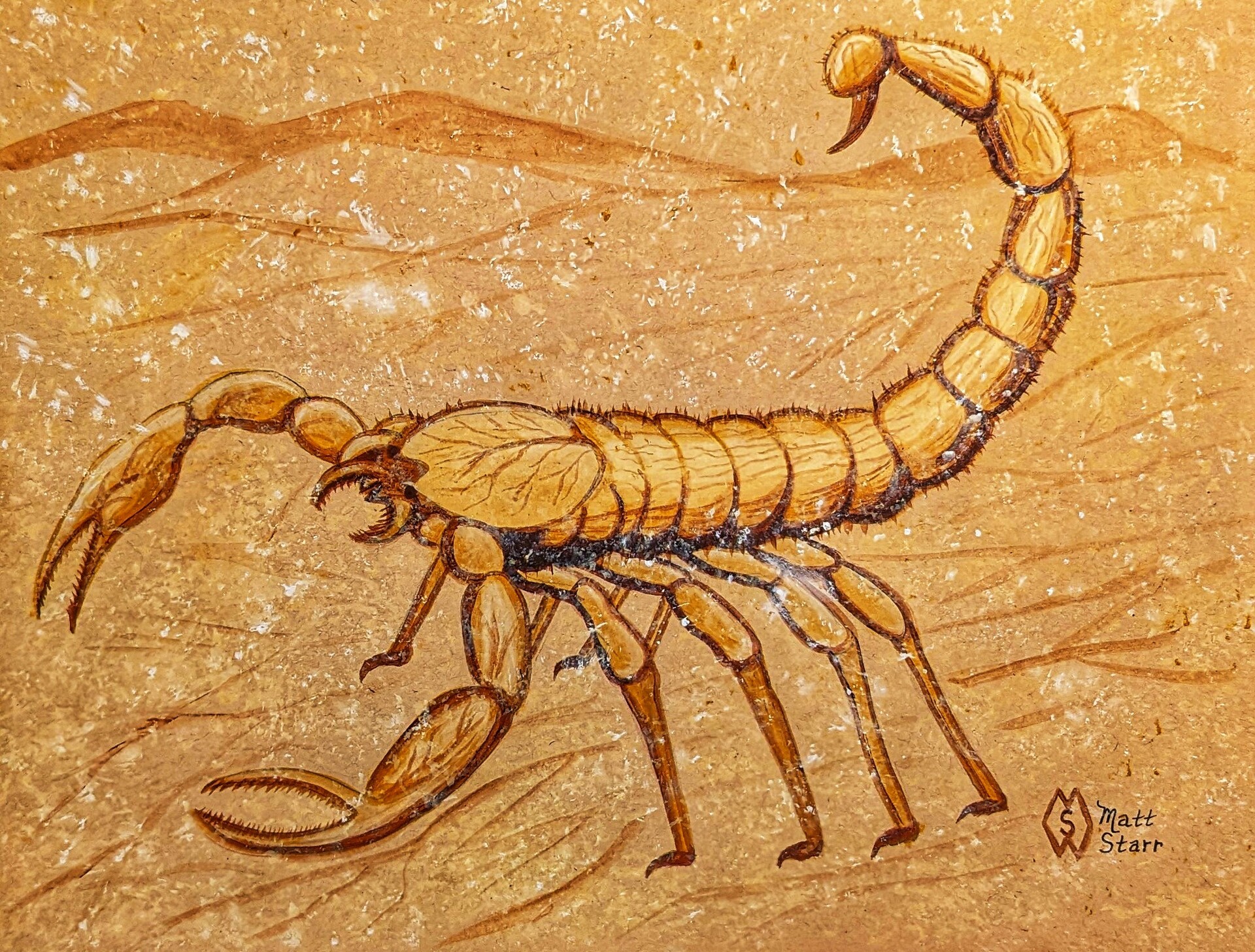 ArtStation - Scorpion poised to strike