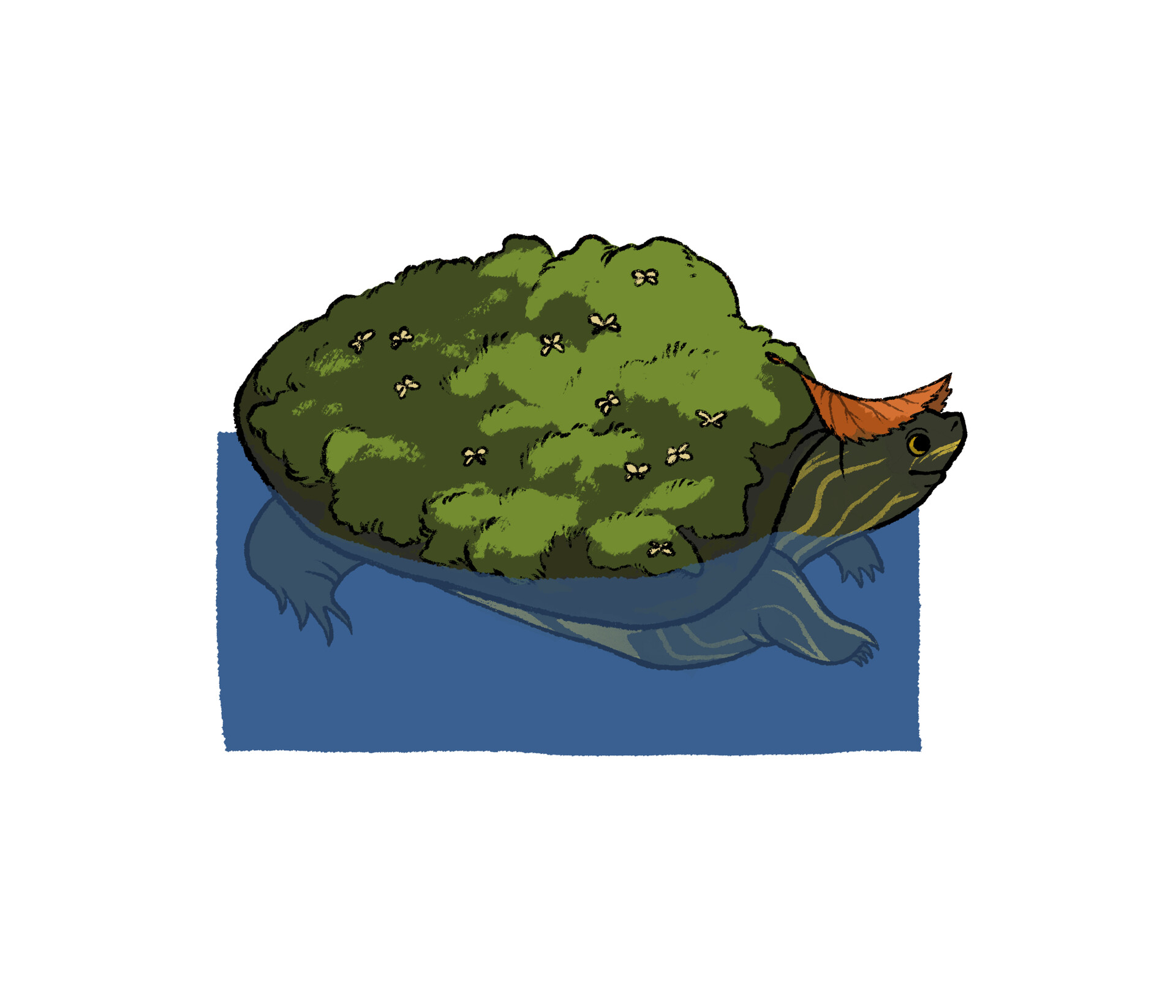 Cameron Mukwa - Moss-backed Turtle