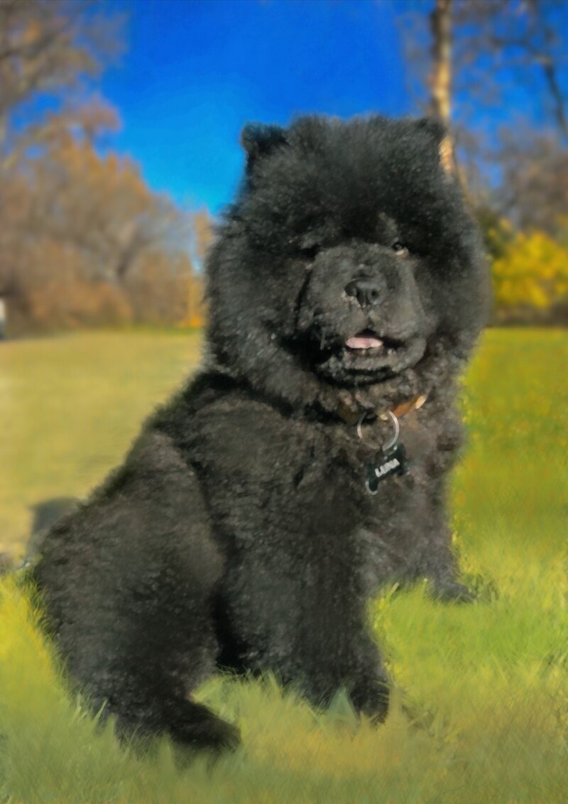 ArtStation - Nathan Sandoval