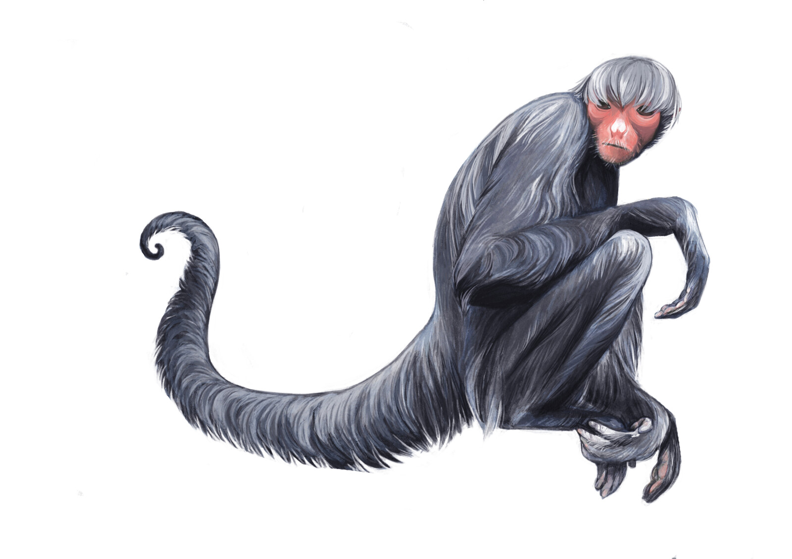 Danny TheRatto - spider monkey painting