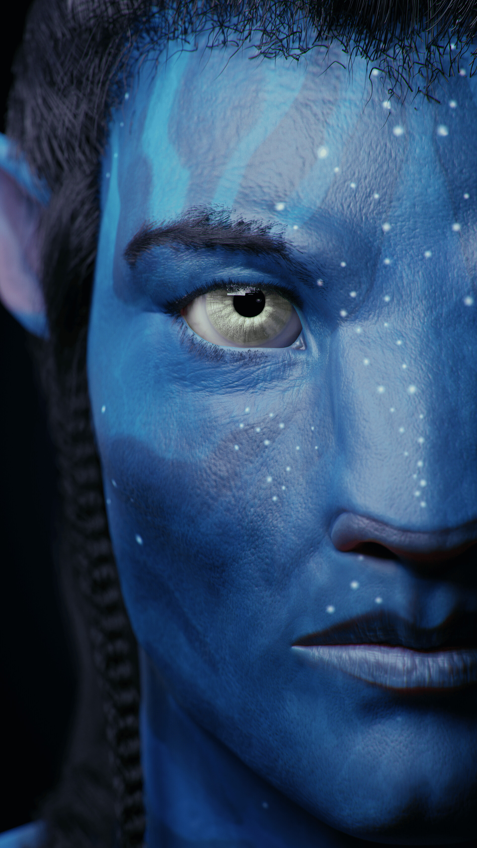 Avatar Movie Jake Sully