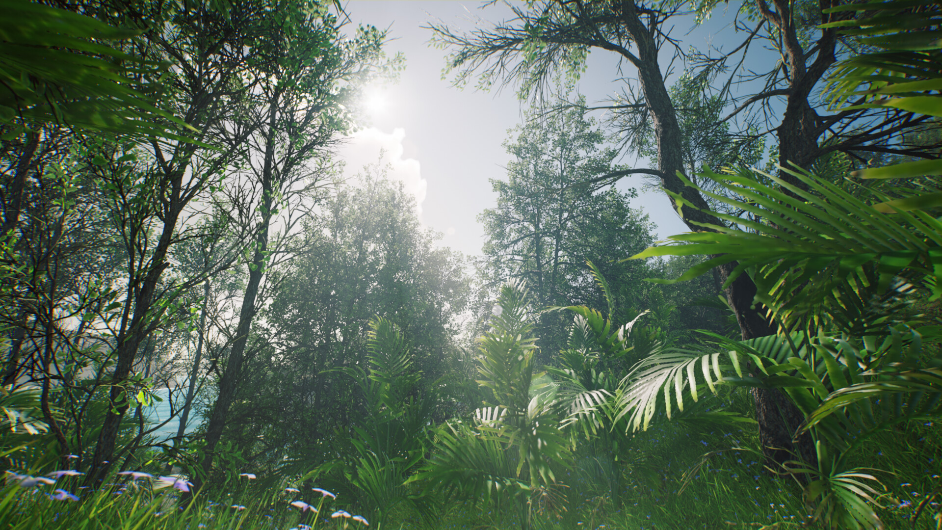 Jayant Sarkar - Mysterious Island