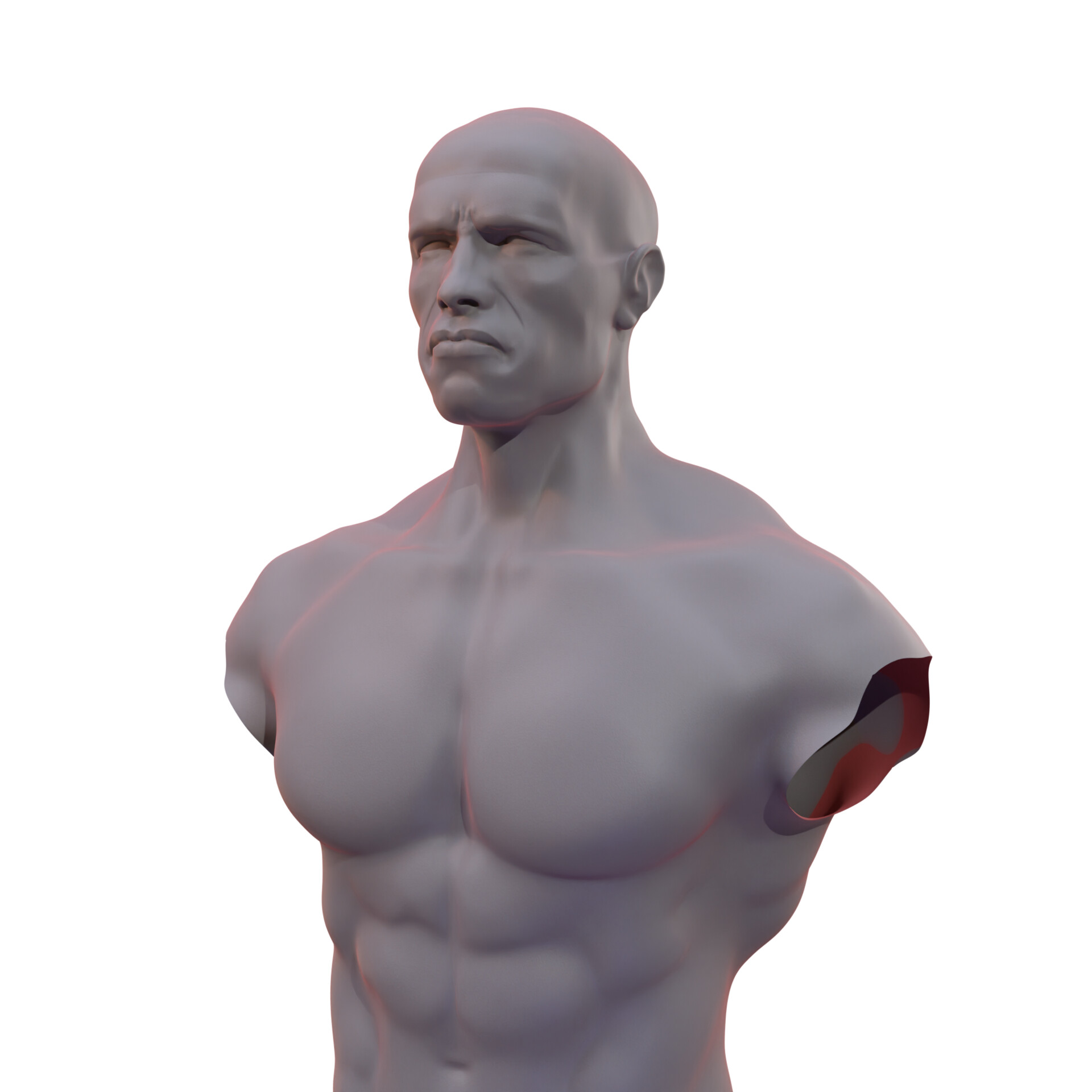 ArtStation - Arnold Sculpture Model