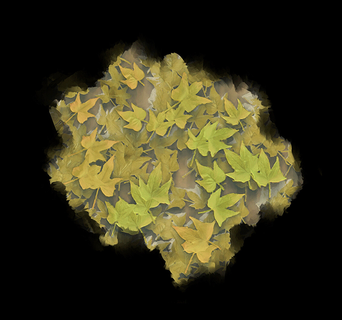 Zepu Wu - SD program stylized walls