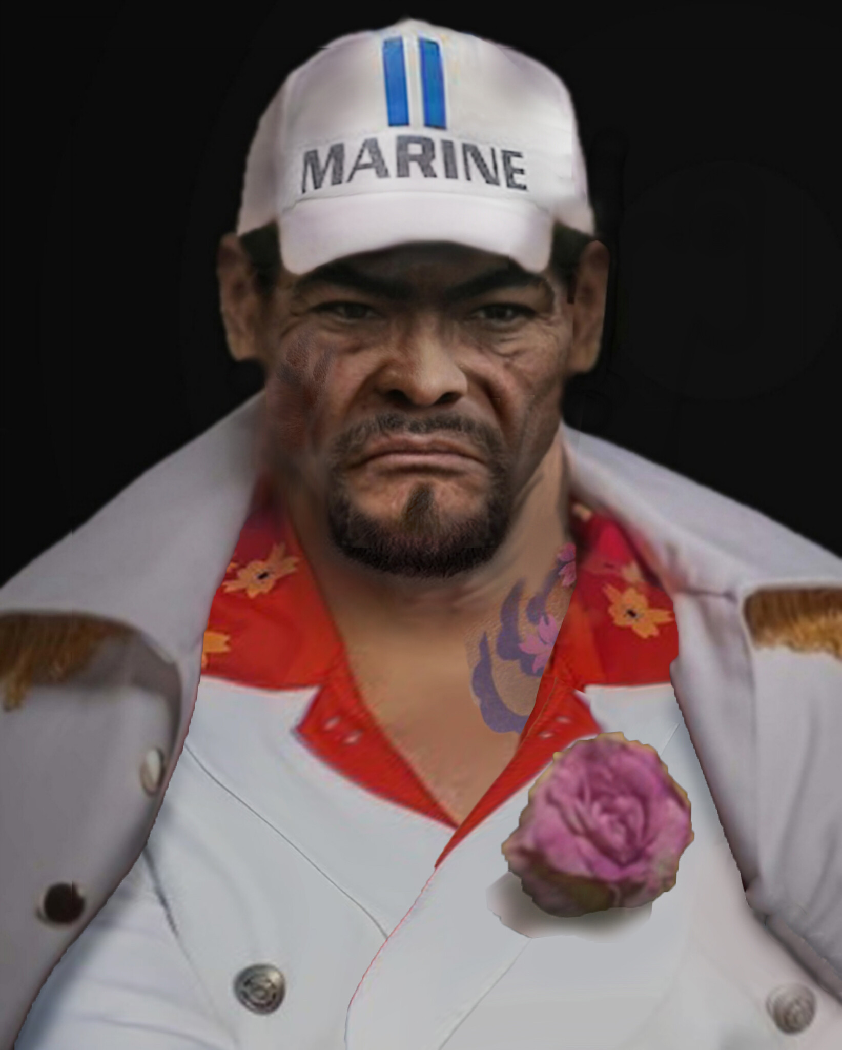 Akainu Timeskip