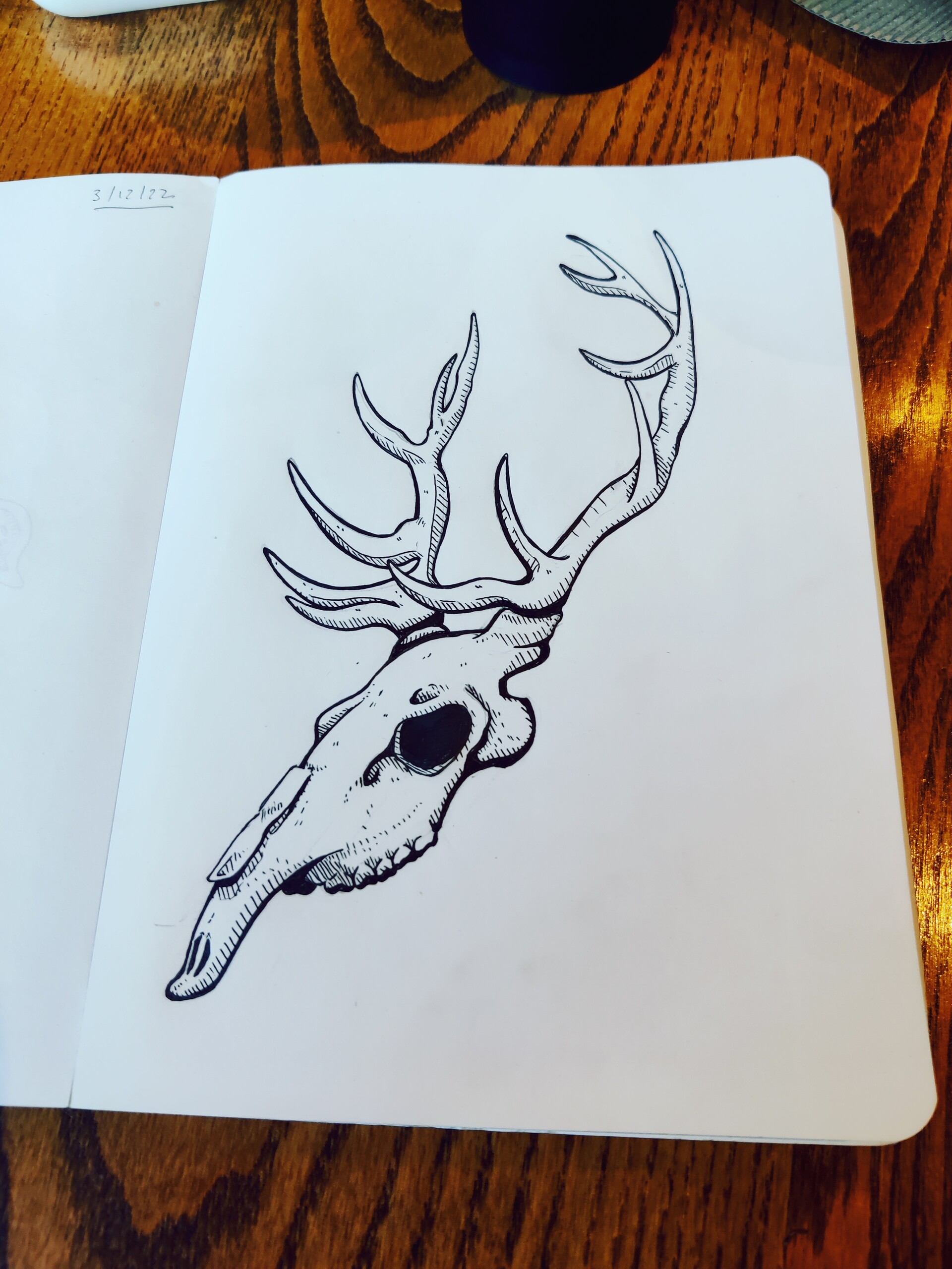 how to draw a deer skull