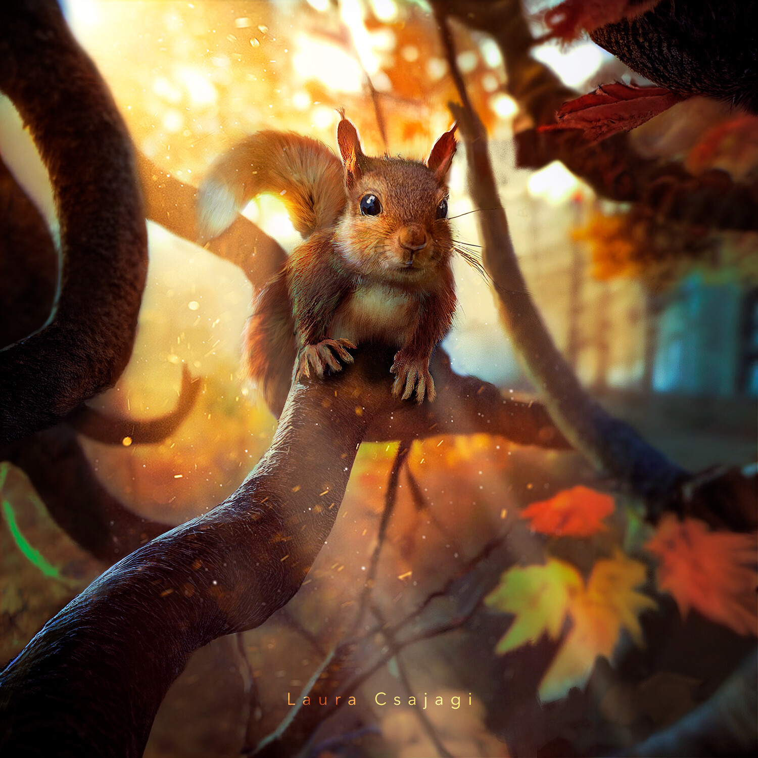 ArtStation - Squirrel
