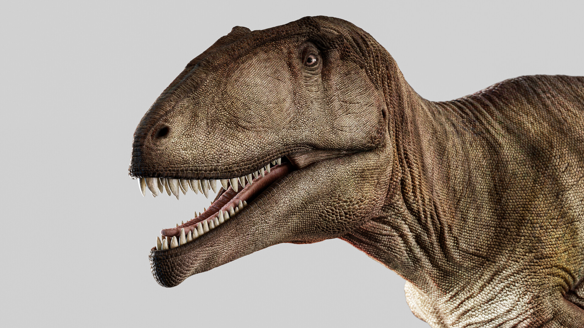 Carcharodontosaurus Head