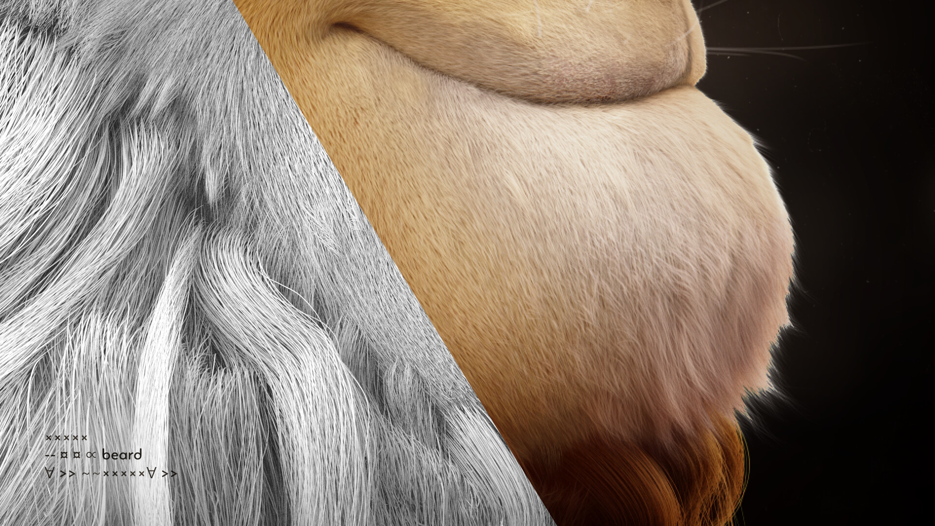 Alexander Cubor - Lion for animation project Team Match