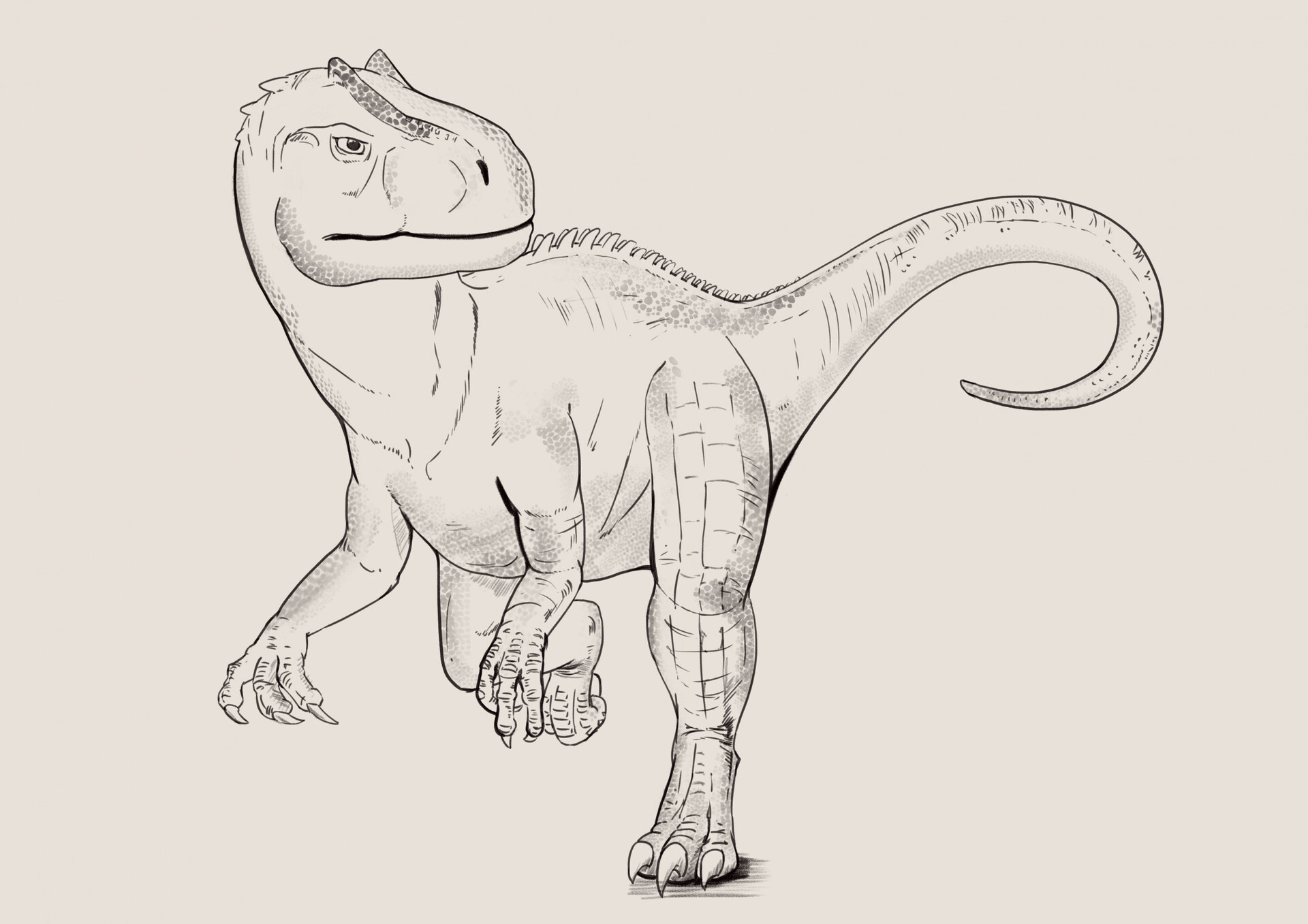 Dinosaurs Allosaurus Drawing