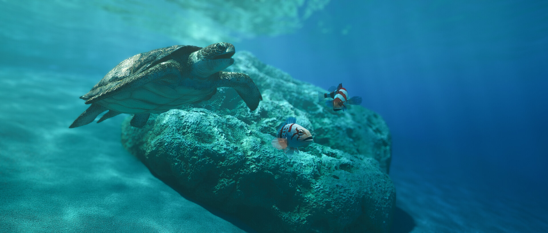 ArtStation - Duuuude... Where is Nemo?