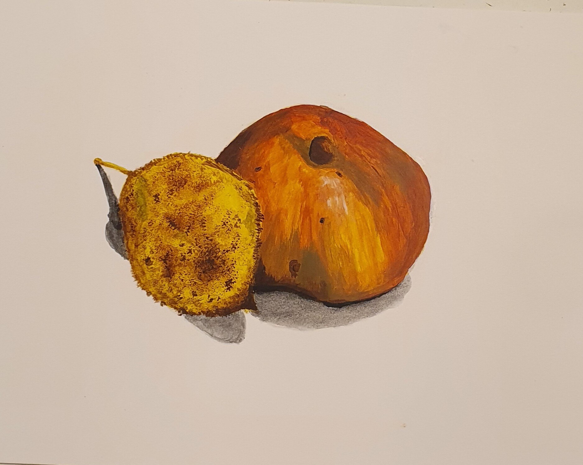 ArtStation - Observationnal drawing Apple