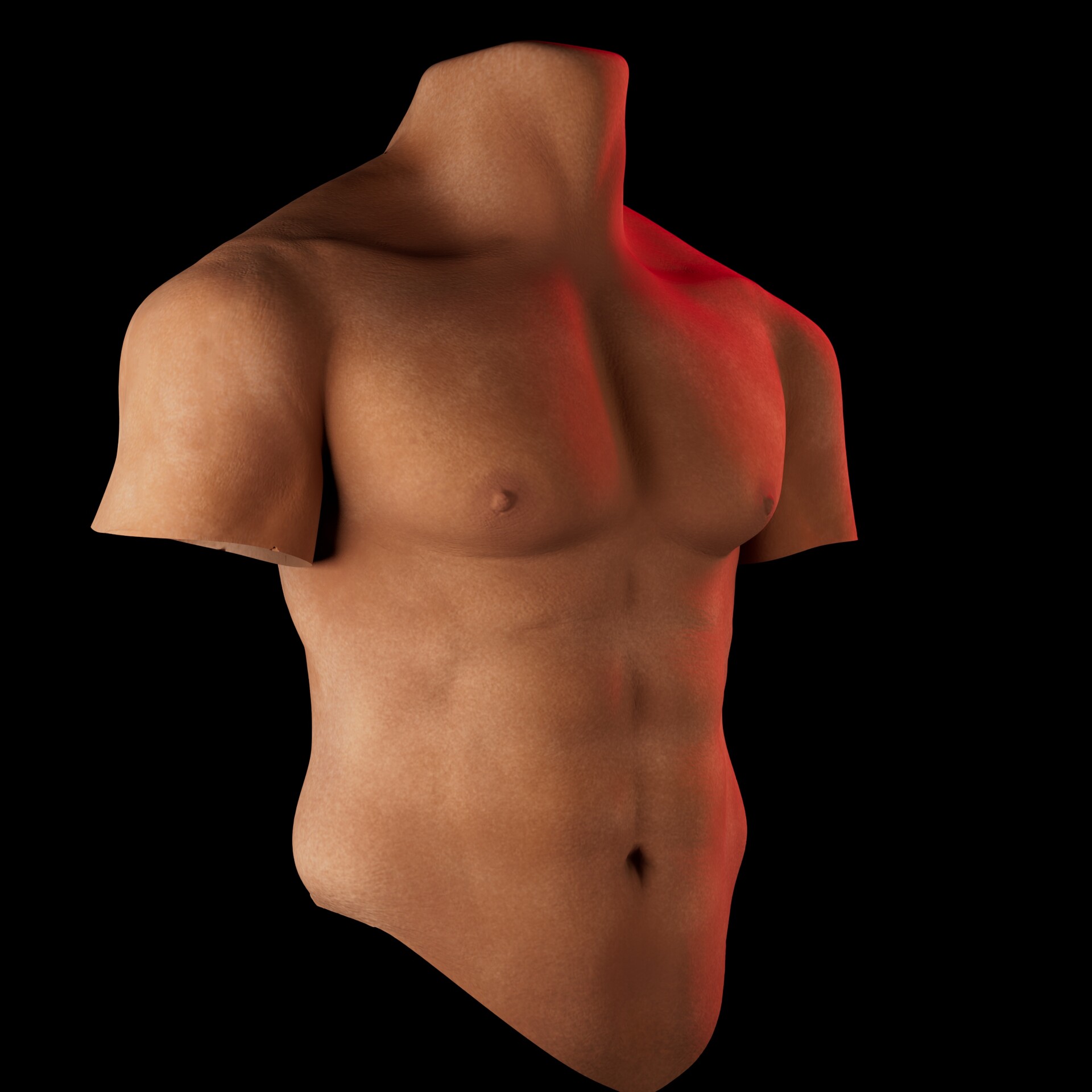 ArtStation - Male Torso