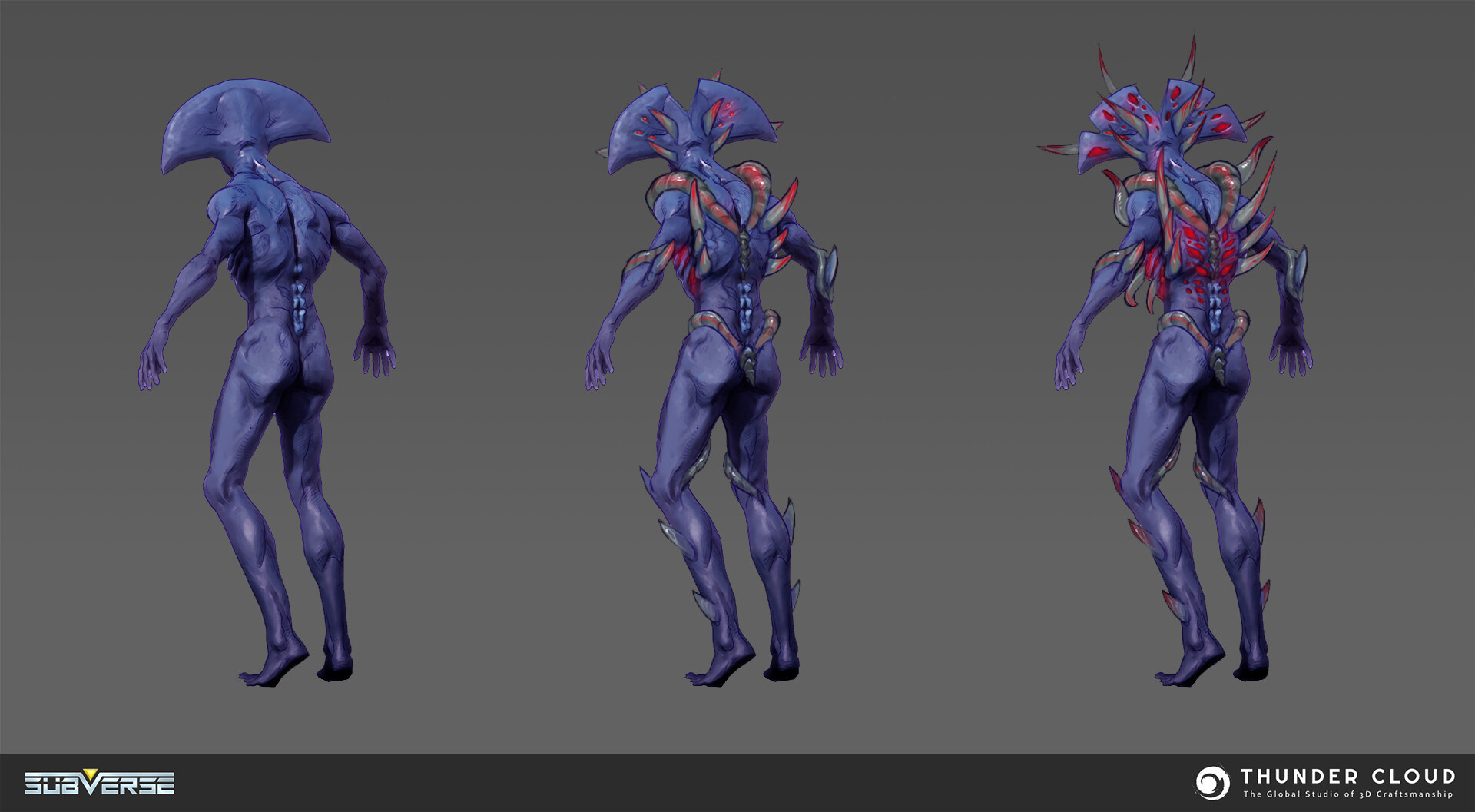 Thunder Cloud Studio - Subverse - Napholeon Concept