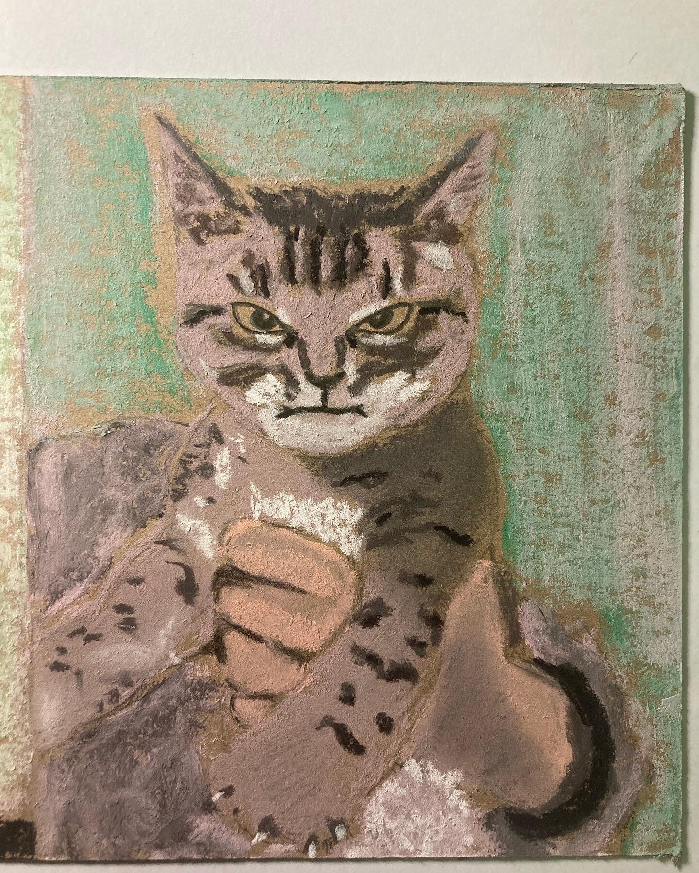 ArtStation - Angry kitty