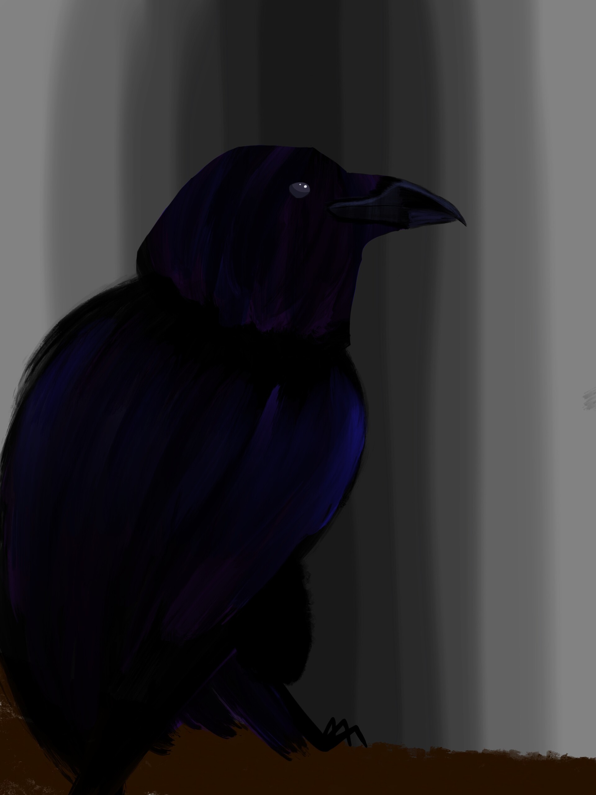 ArtStation - The raven