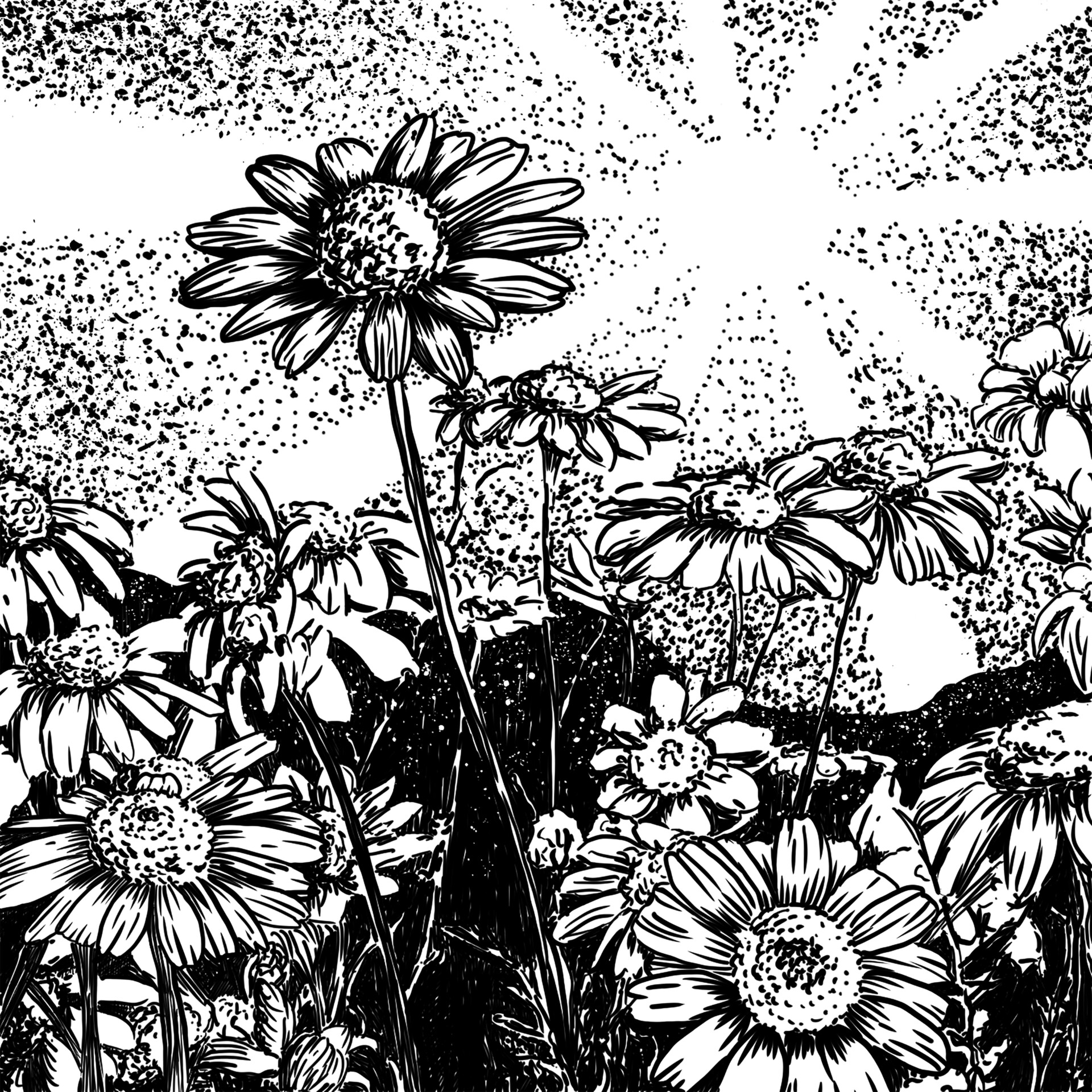 ArtStation - Flower field in sunset