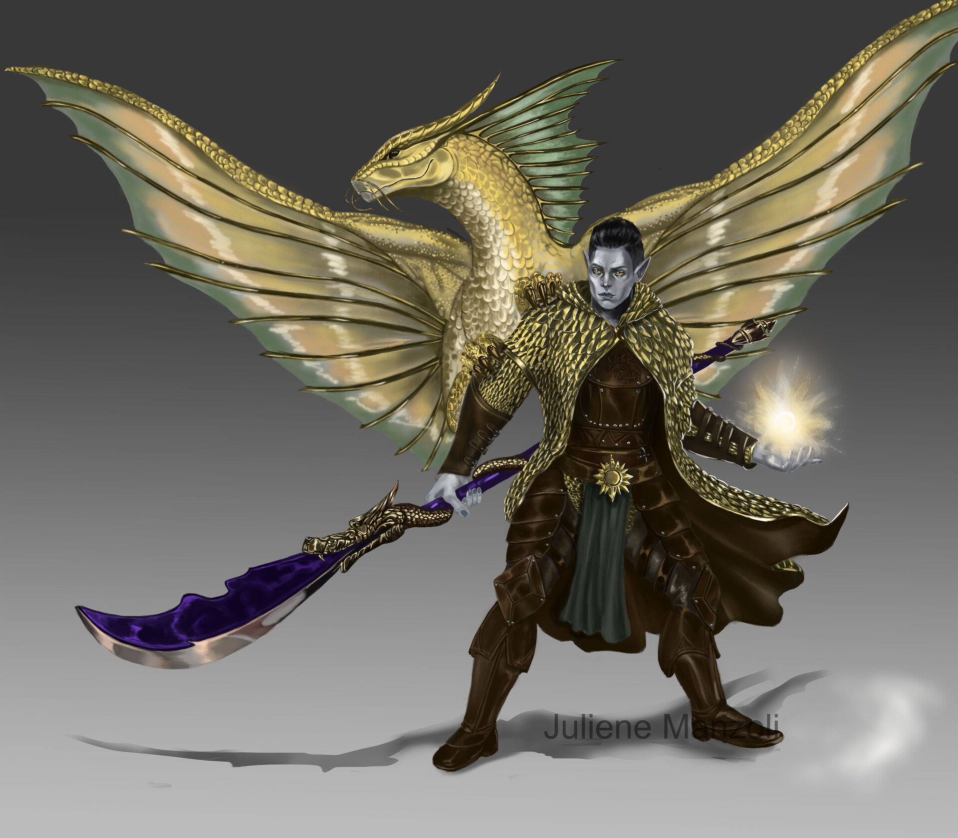 Half Dragon Half Elf