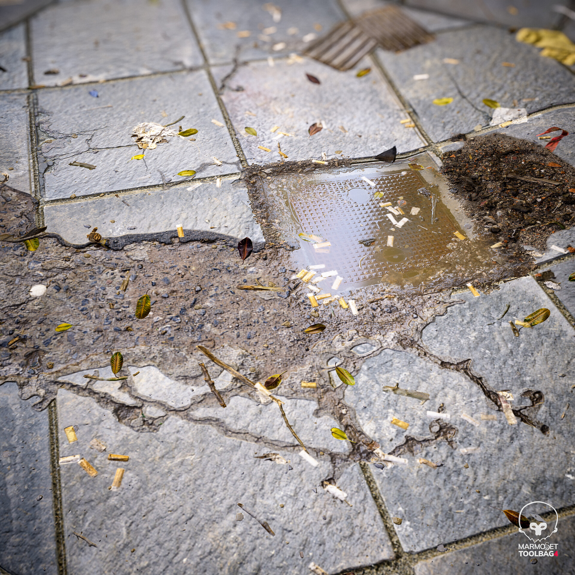 Sarkhare - Dirty Concrete Tile Pavement