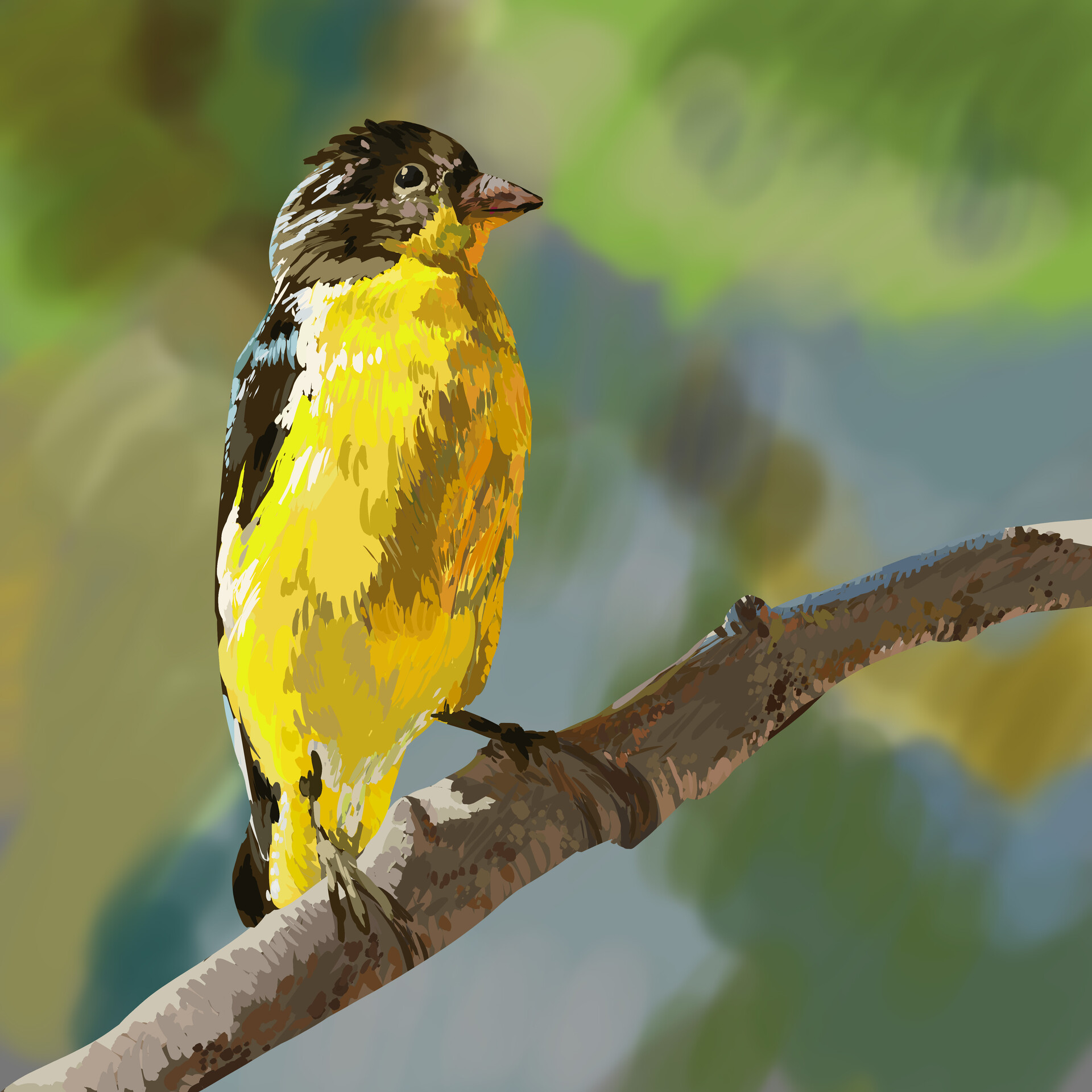 ArtStation - birds studies