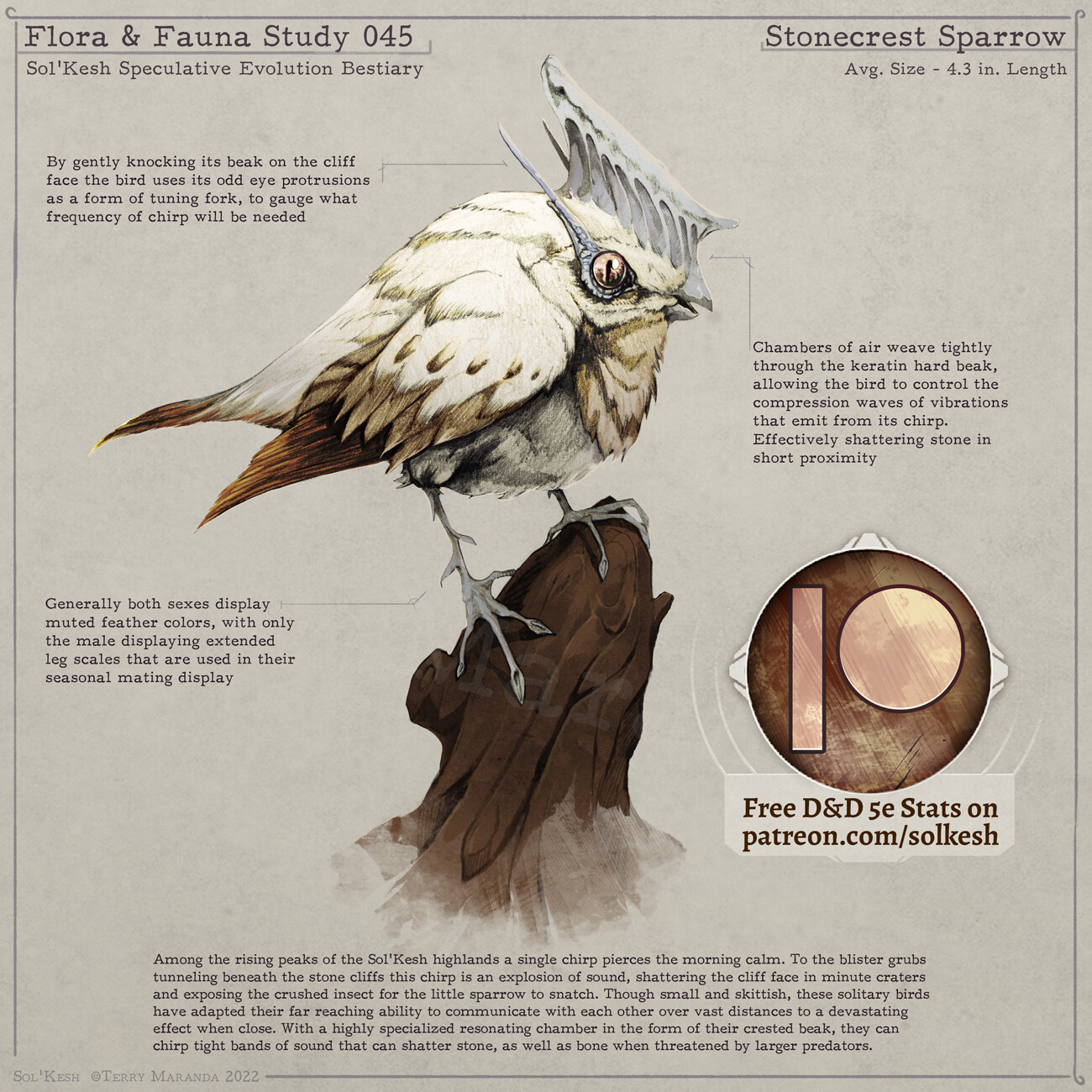 ArtStation - The Stonecrest Sparrow