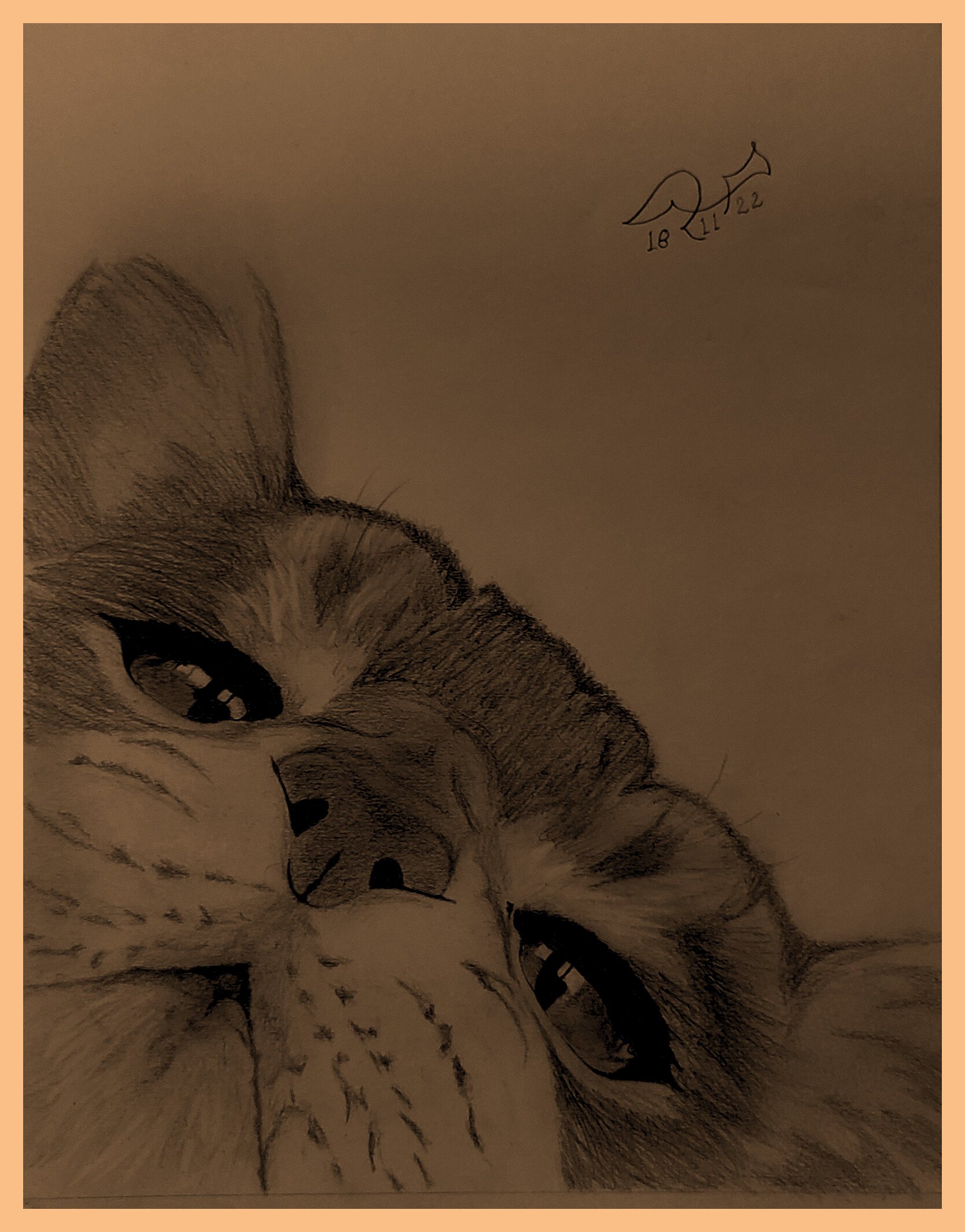 ArtStation - Realistic cat sketch