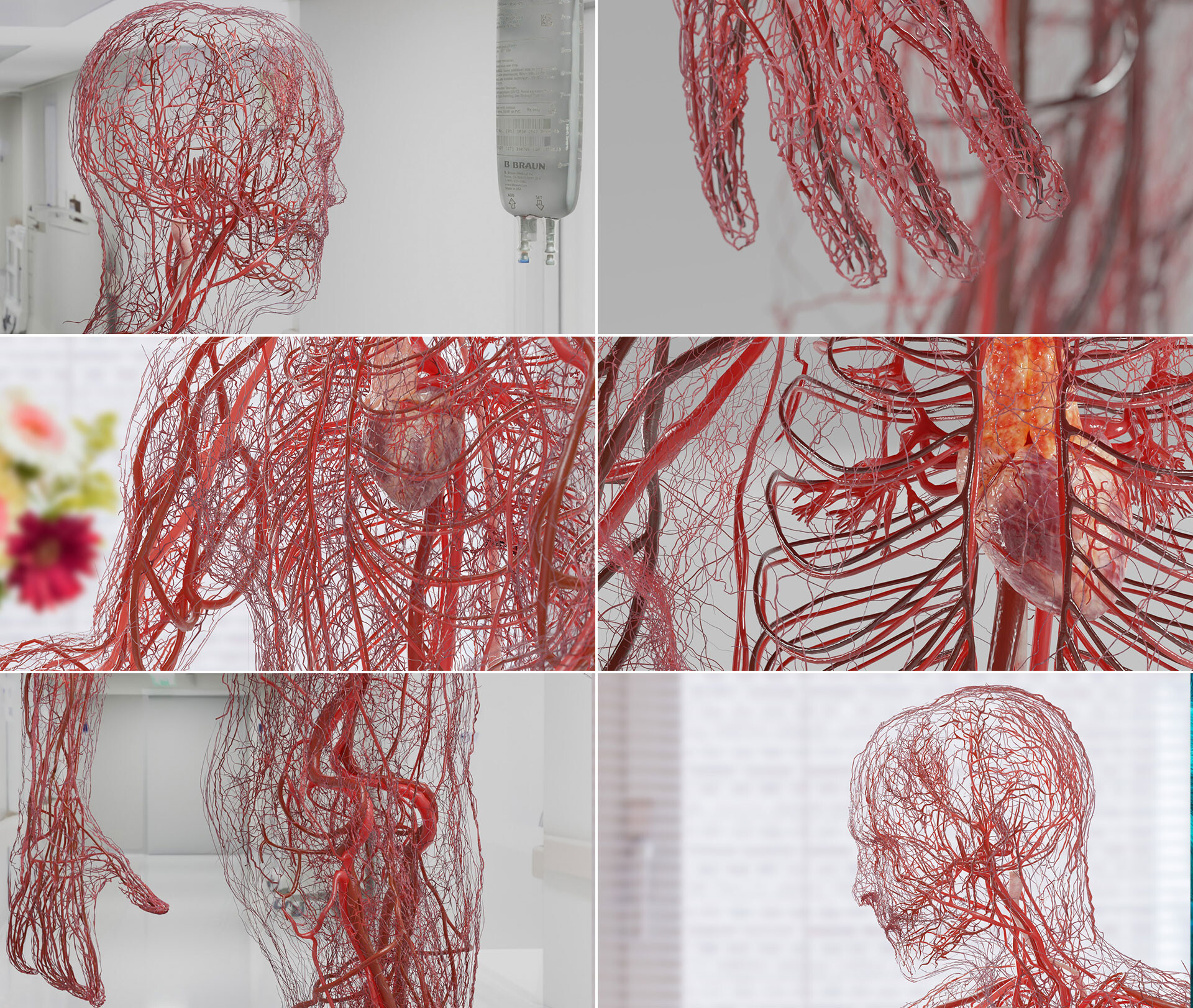 Arthur Baden - Vein man